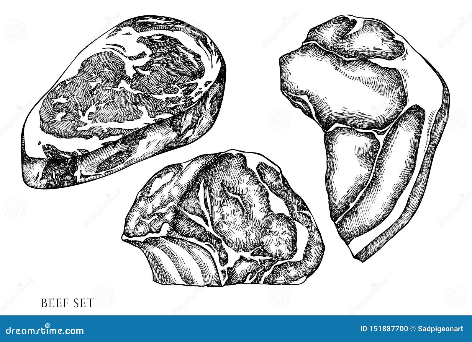 Vector Set of Hand Drawn Black and White Beef Stock Vector ...
