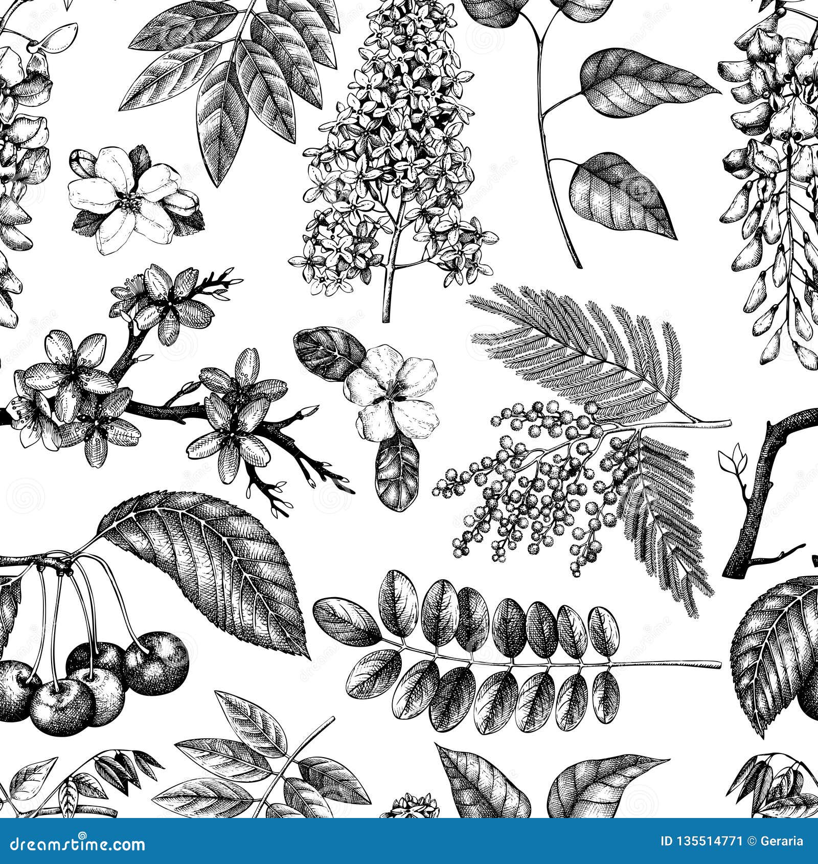 Vector Set of Hand Drawn Blossoming Trees Illustration. Spring Design ...