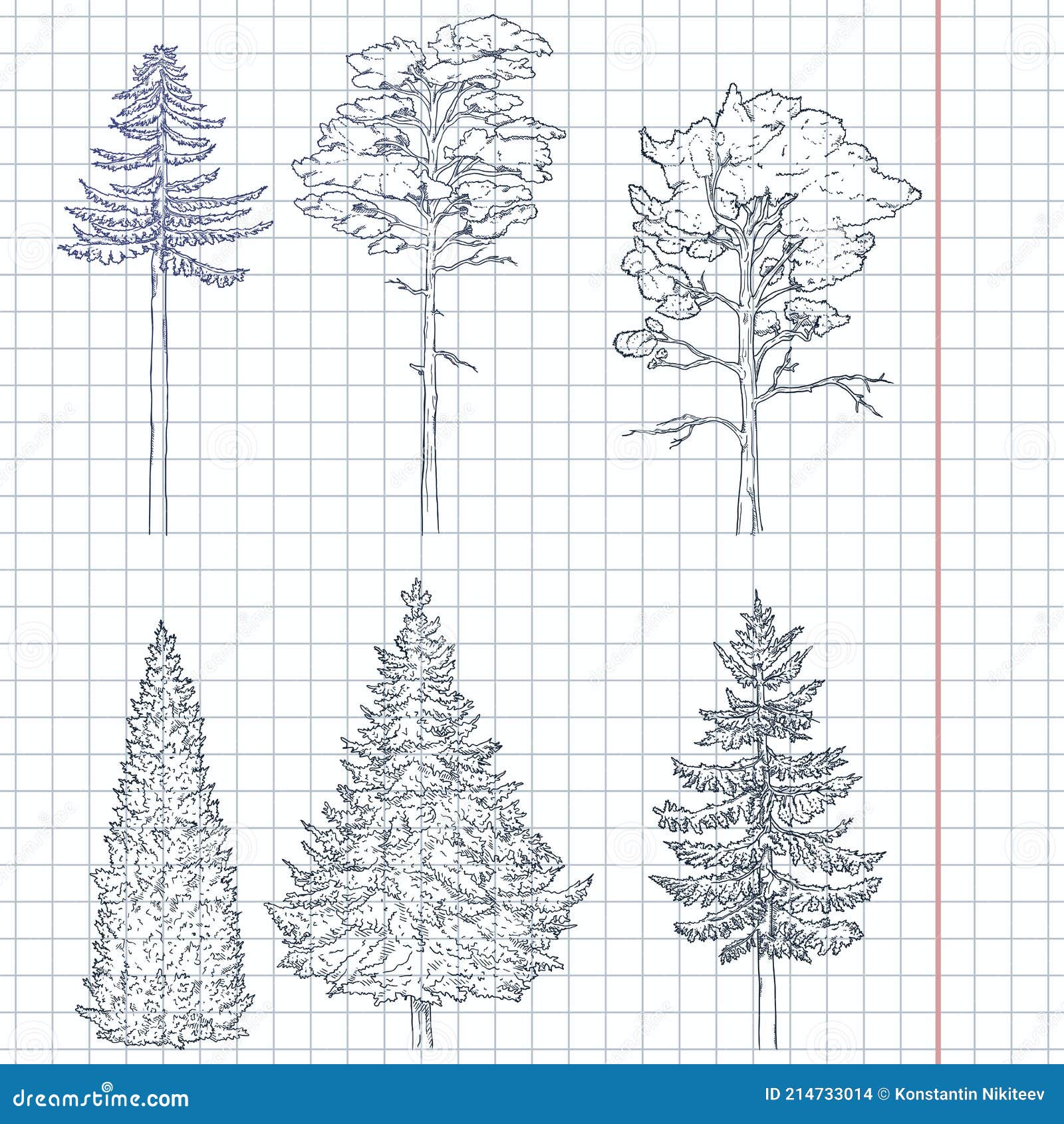 Vector Set of Hand Drawn Sketch Pine Trees Stock Vector - Illustration ...