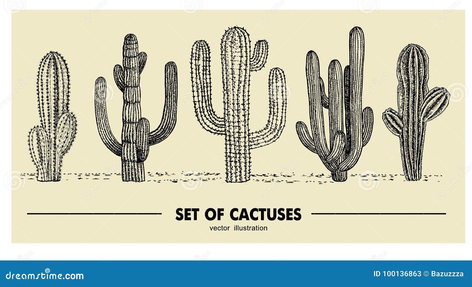 Cactus Vector Illustrations. Hand Drawn Outline Cactus Set ...