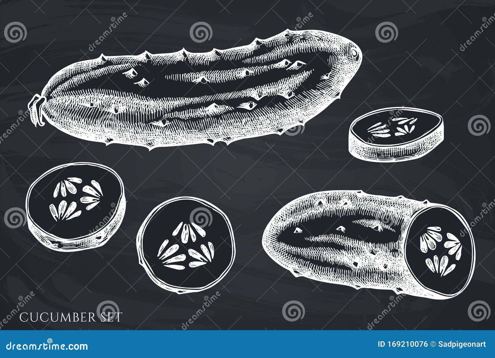 Vector Set of Hand Drawn Chalk Cucumber Stock Vector - Illustration of ...