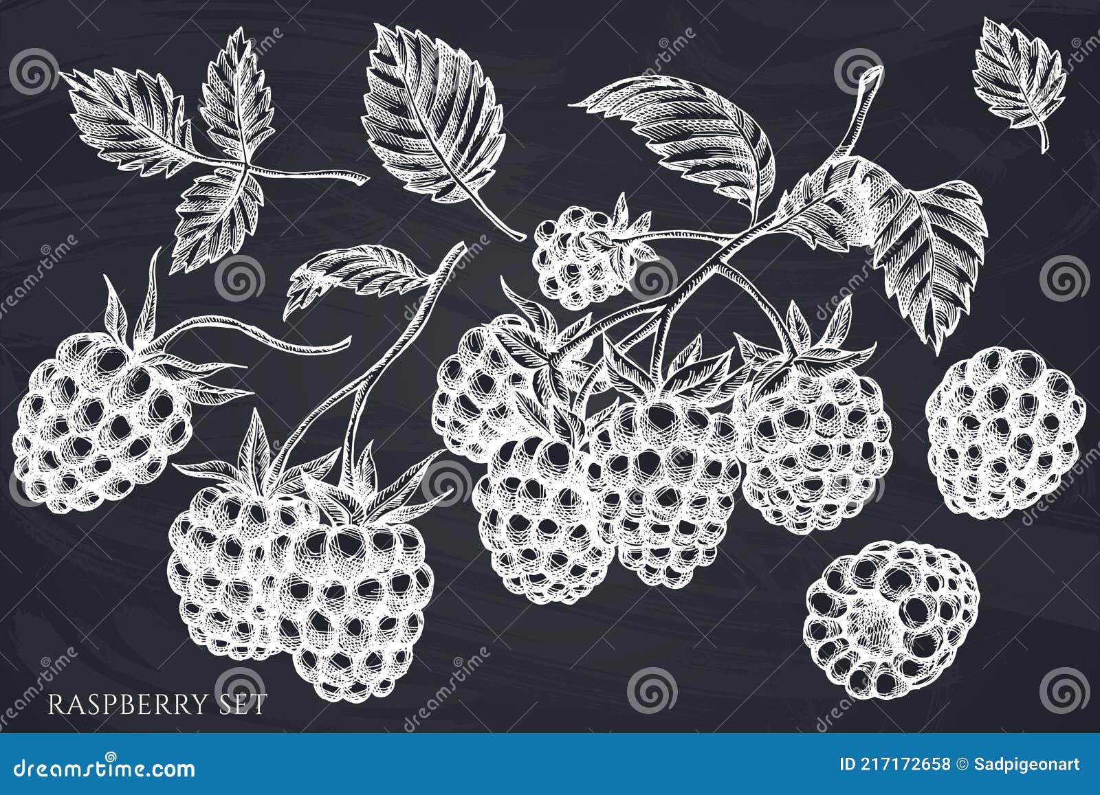 Vector Set of Hand Drawn Chalk Raspberry Stock Vector - Illustration of ...
