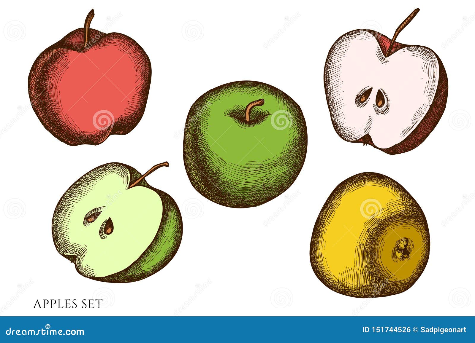 Vector Set of Hand Drawn Colored Apples Stock Vector - Illustration of ... Vector Set of Hand Drawn Colored Apples Stock Vector - Illustration of ...