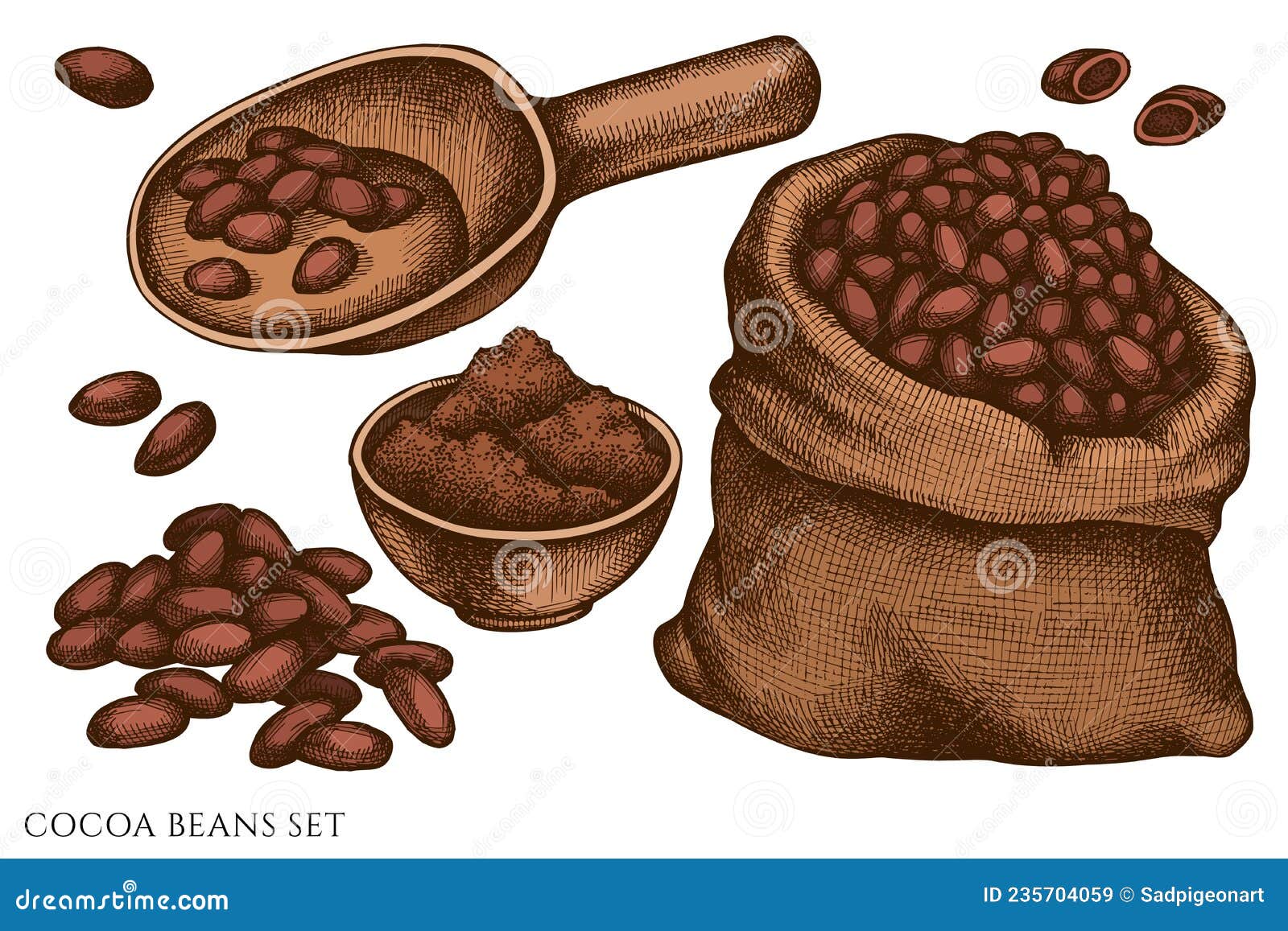 Vector Set of Hand Drawn Colored Cocoa Beans Stock Vector ...