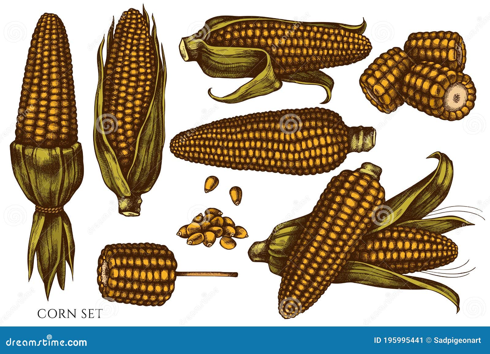 Vector Set of Hand Drawn Colored Corn Stock Vector - Illustration of ...