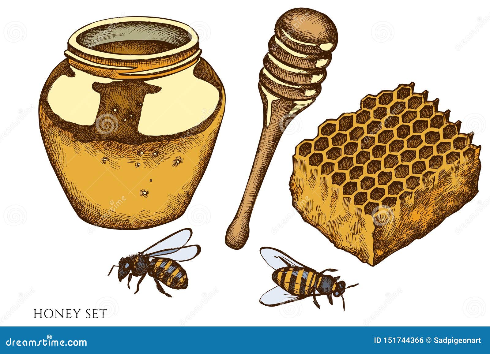Vector Set of Hand Drawn Colored Honey Stock Vector - Illustration of ...