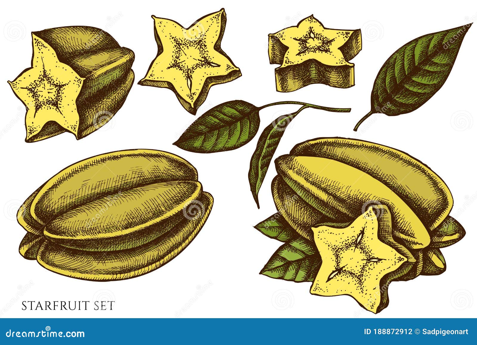 Vector Set of Hand Drawn Colored Starfruit Stock Vector - Illustration ...