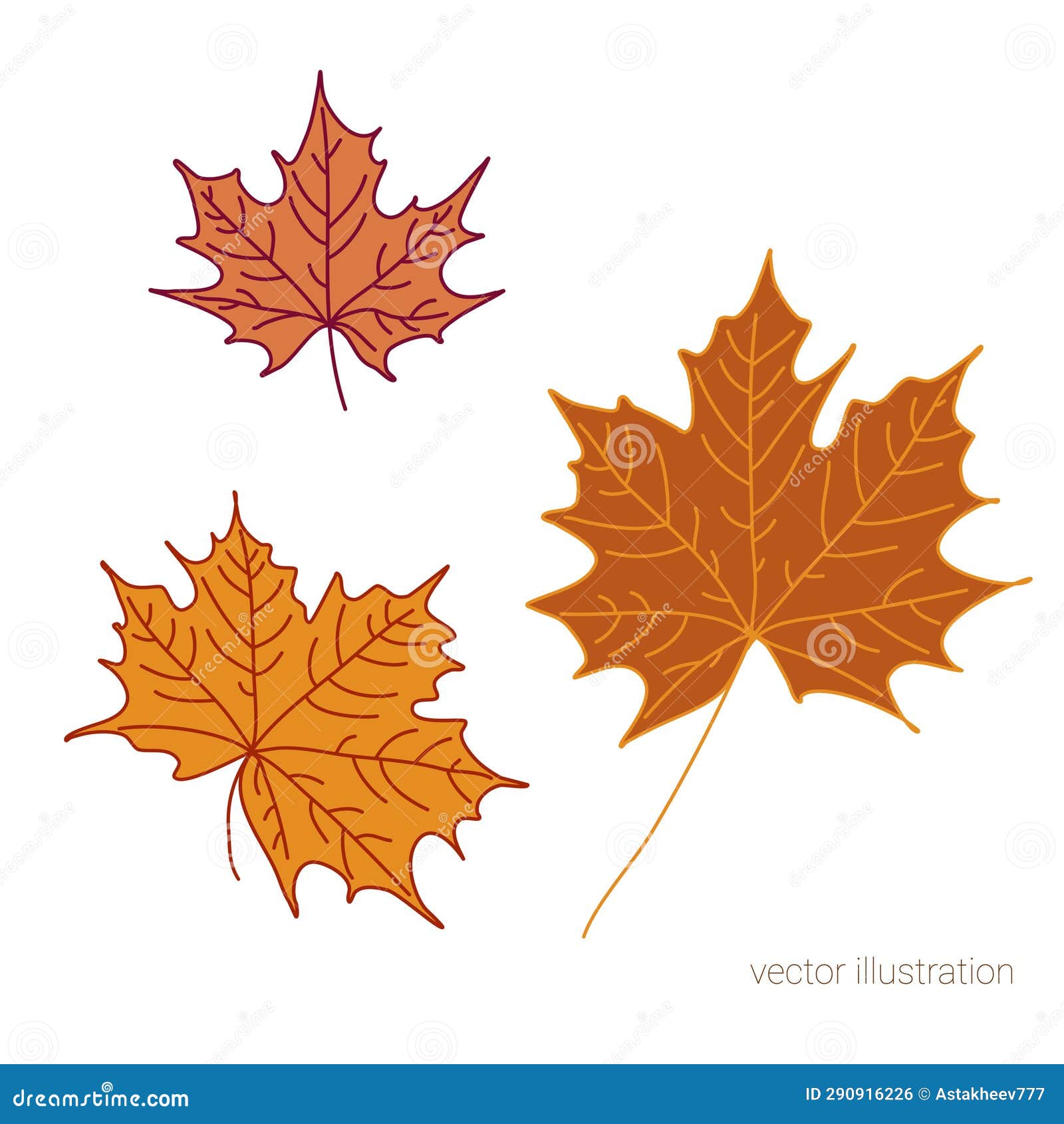 Vector Set of Hand Drawn Fall Leaves of Maple Stock Illustration ...