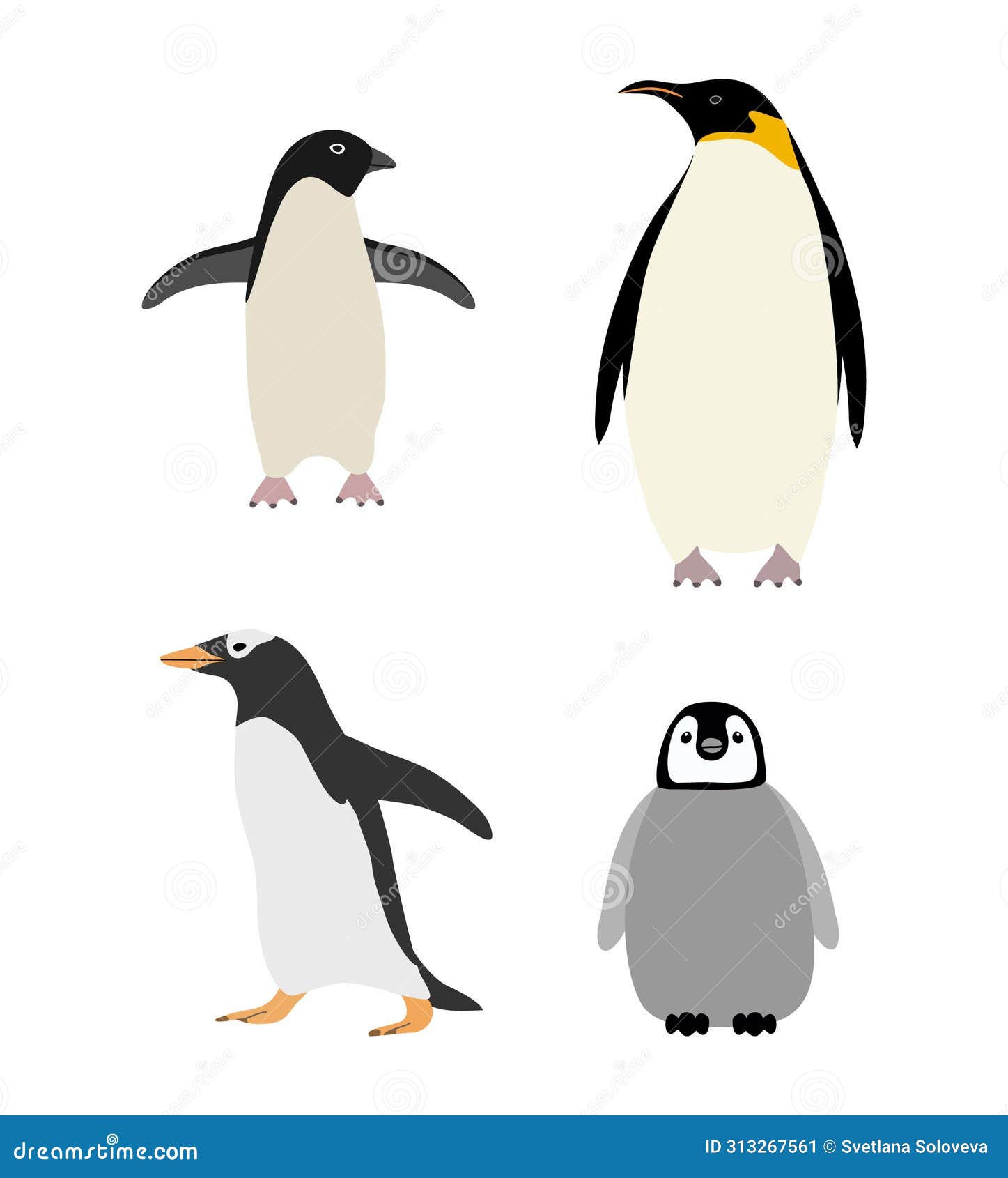 Vector Set of Hand Drawn Flat Penguin Stock Vector - Illustration of ...