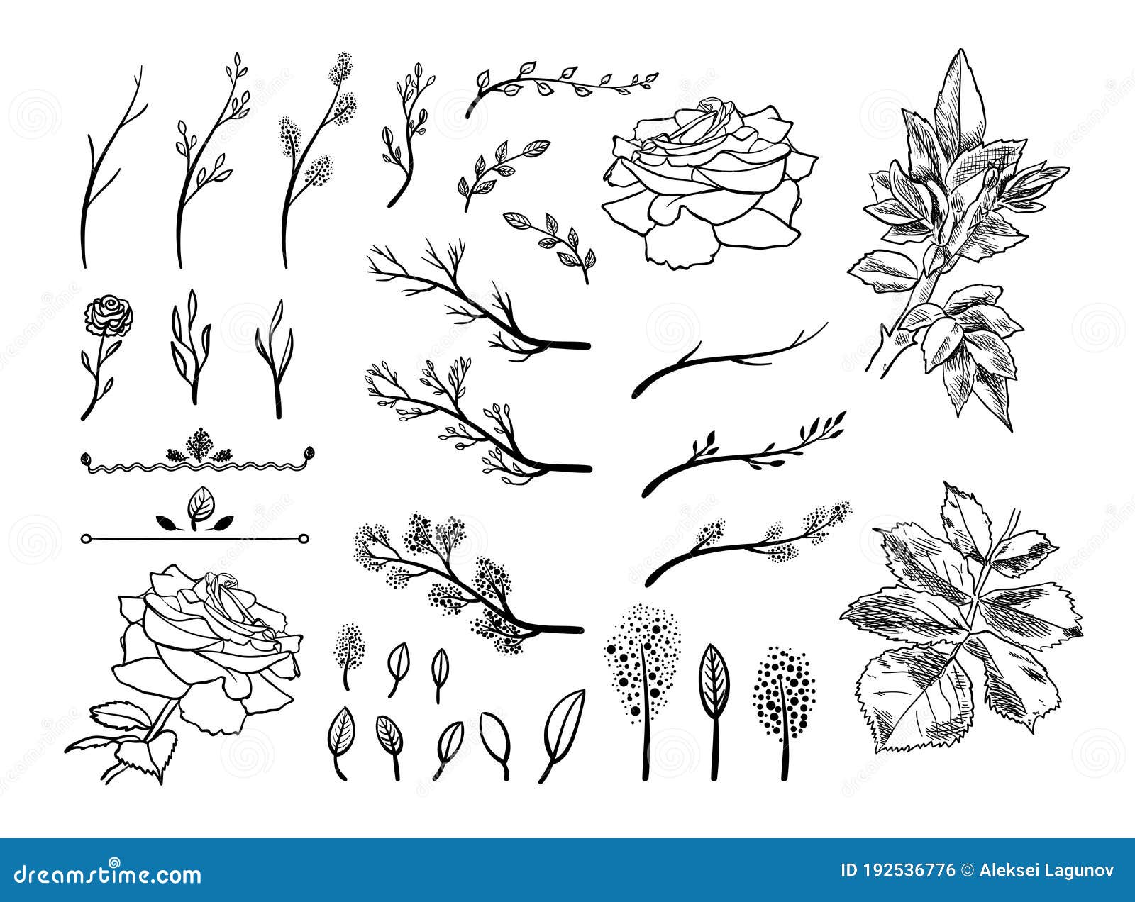 Vector Set Of Hand Drawn Flora Sketches Isolated, Black Drawings ...