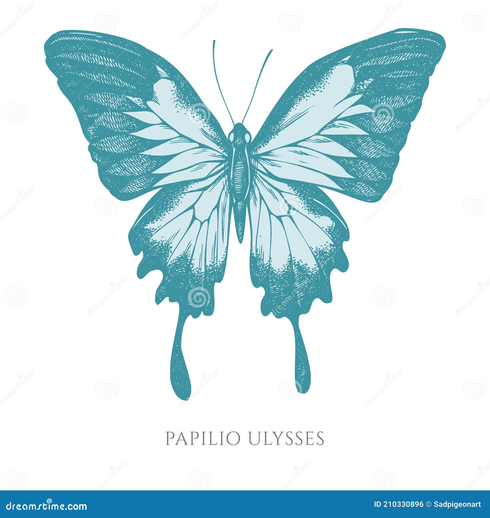 Vector Set of Hand Drawn Pastel Blue Emperor Stock Vector ...