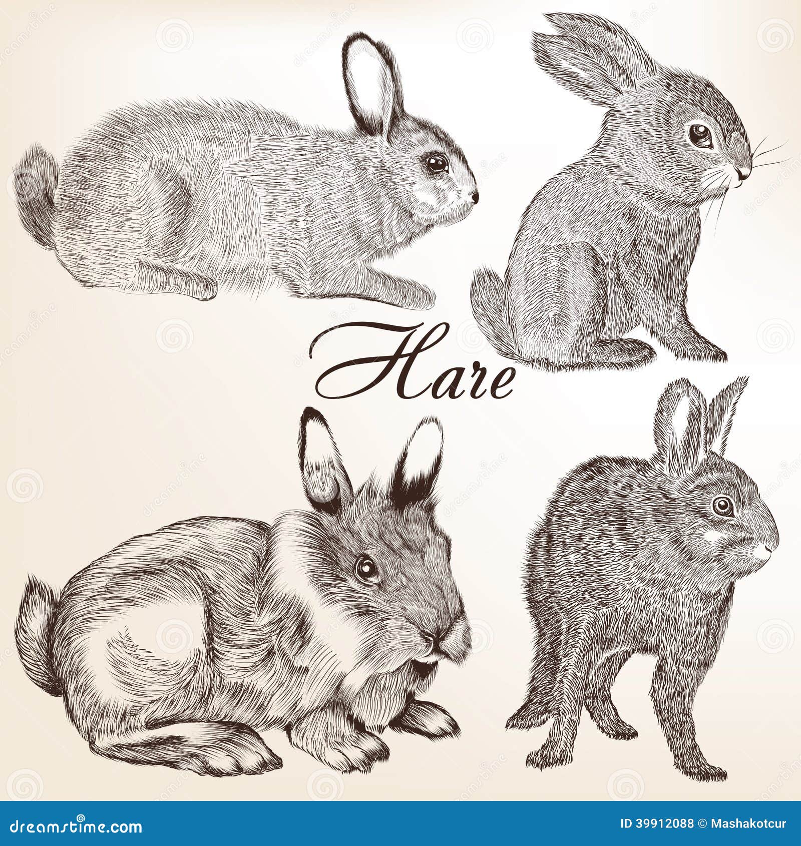 Vector Set of Hand Drawn Rabbits Stock Vector - Illustration of ...