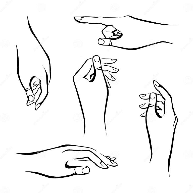 Vector Set of Hands in Different Positions. Stock Vector - Illustration ...