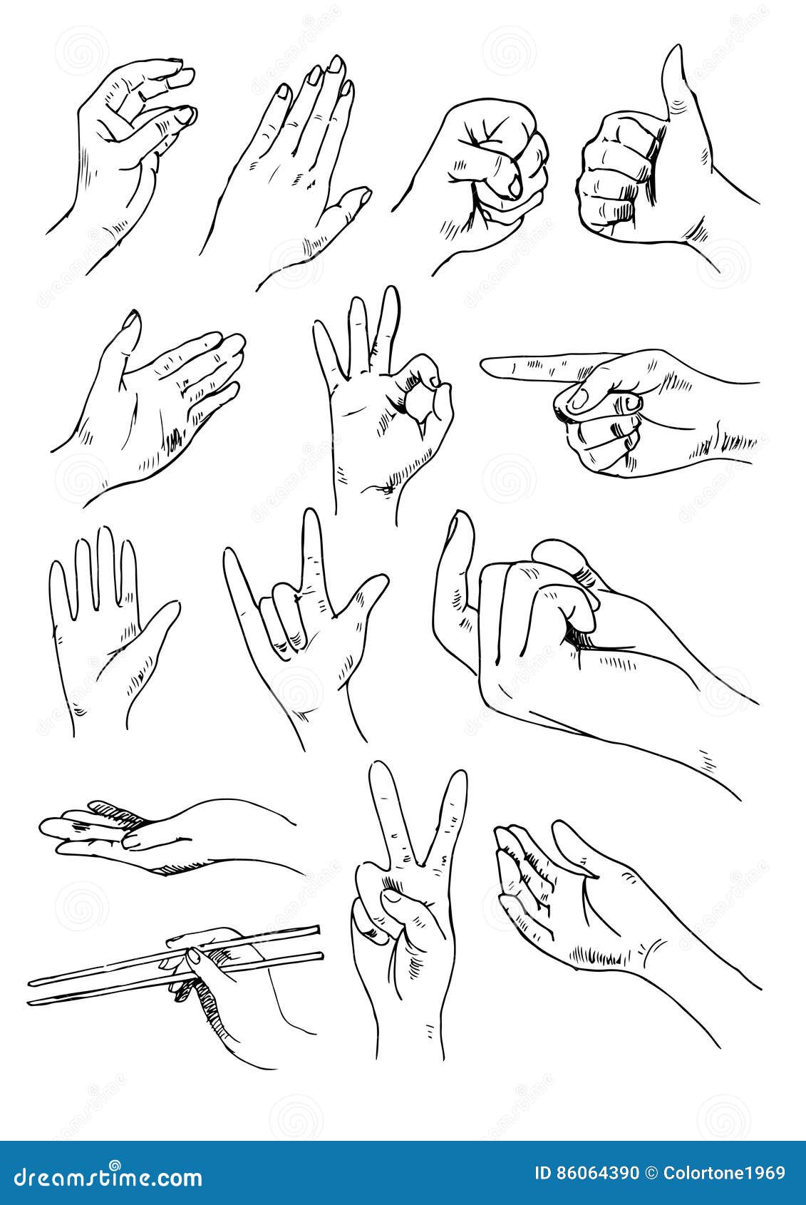 Vector Set of Hands and Gestures Stock Vector - Illustration of cartoon ...