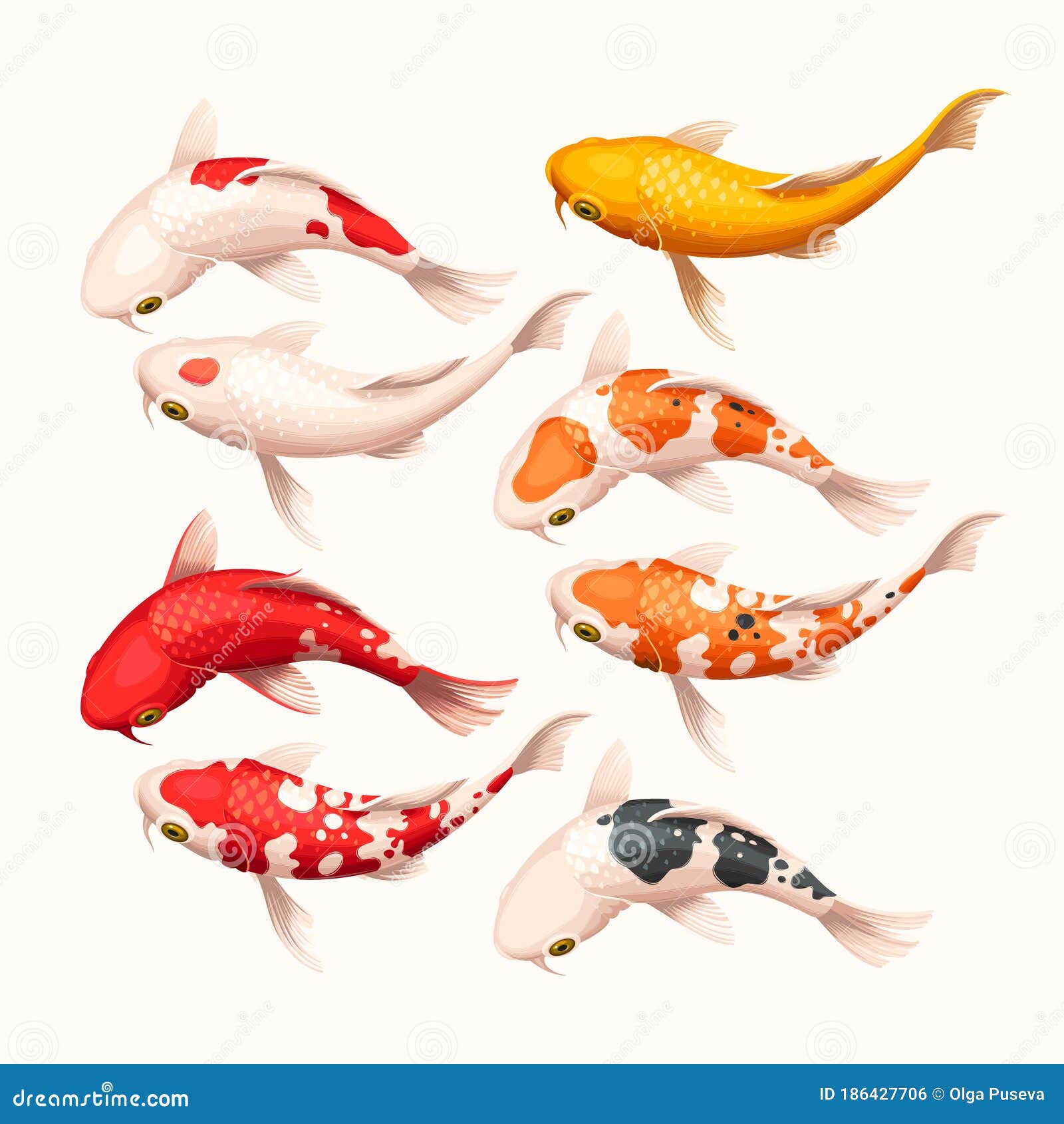 Vector Set of High Detailed Koi Fish Stock Vector - Illustration of ...