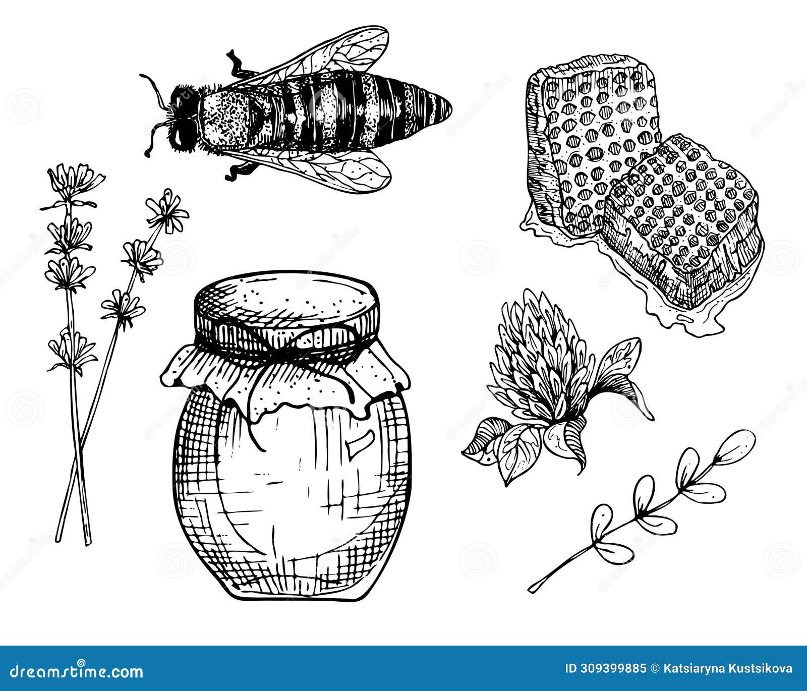 Vector Set of Honey and Beekeeping in Graphic Style Stock Vector ...