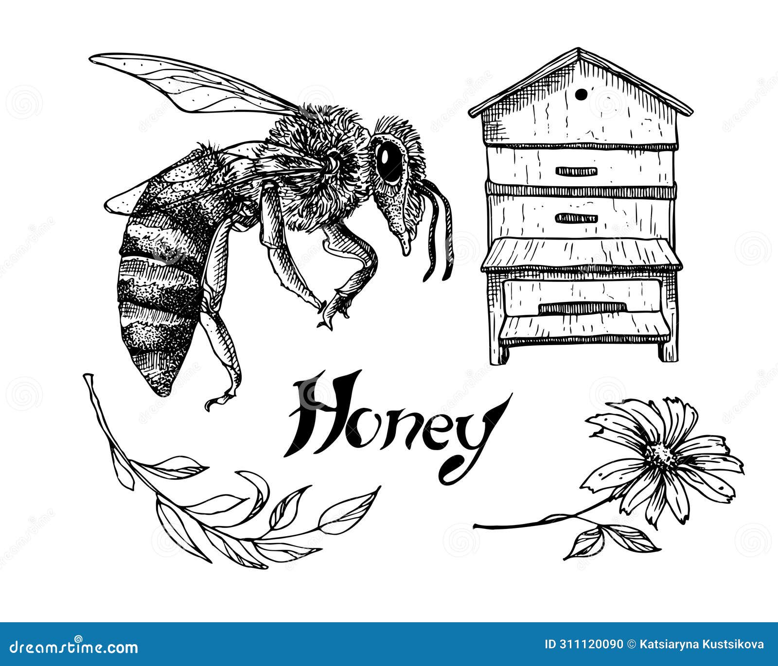 Vector Set of Honey and Beekeeping in Graphic Style Stock Vector ...
