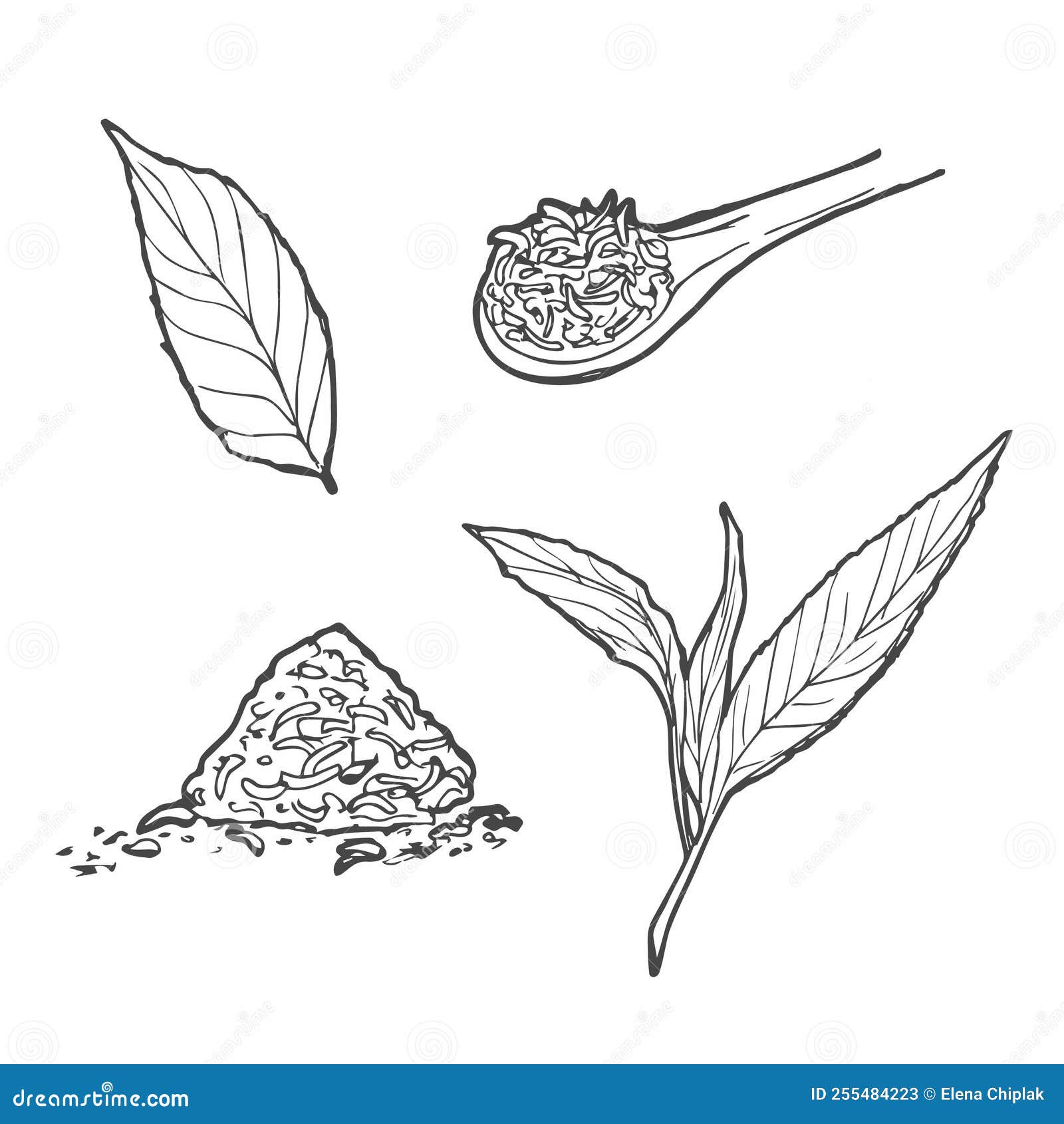 Vector Set of Icons on a Tea Theme in Doodle Style Stock Vector ...