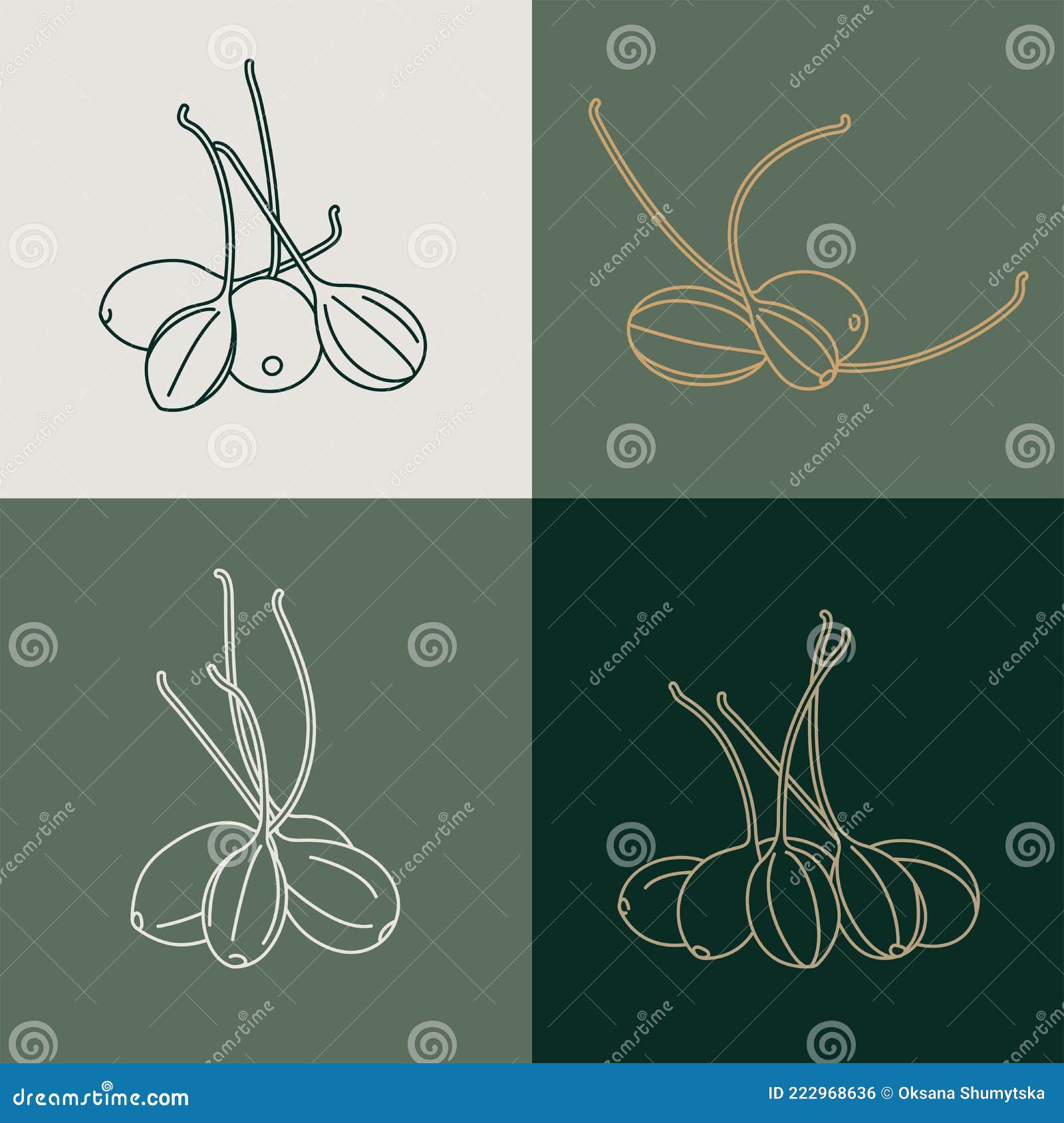 Vector Set Illustration Pickled Capers - Simple Linear Style ...