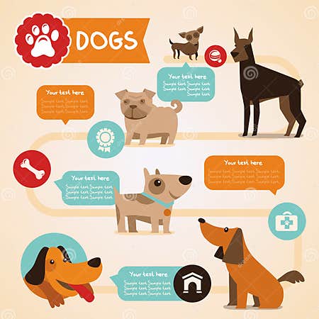 Vector Set of Infographics Design Elements - Dogs Stock Vector ...