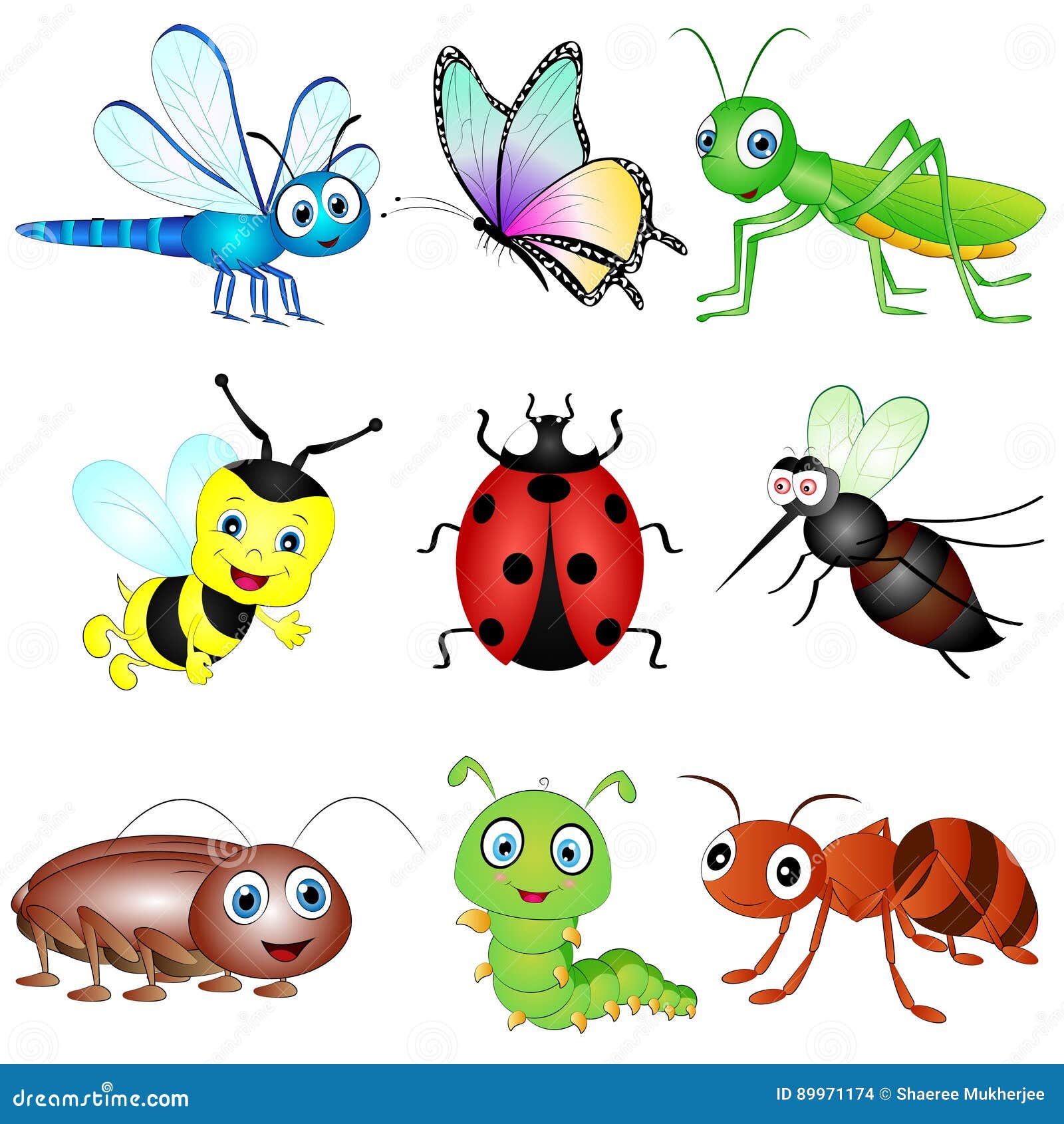 Insects Vector Illustration | CartoonDealer.com #9954820