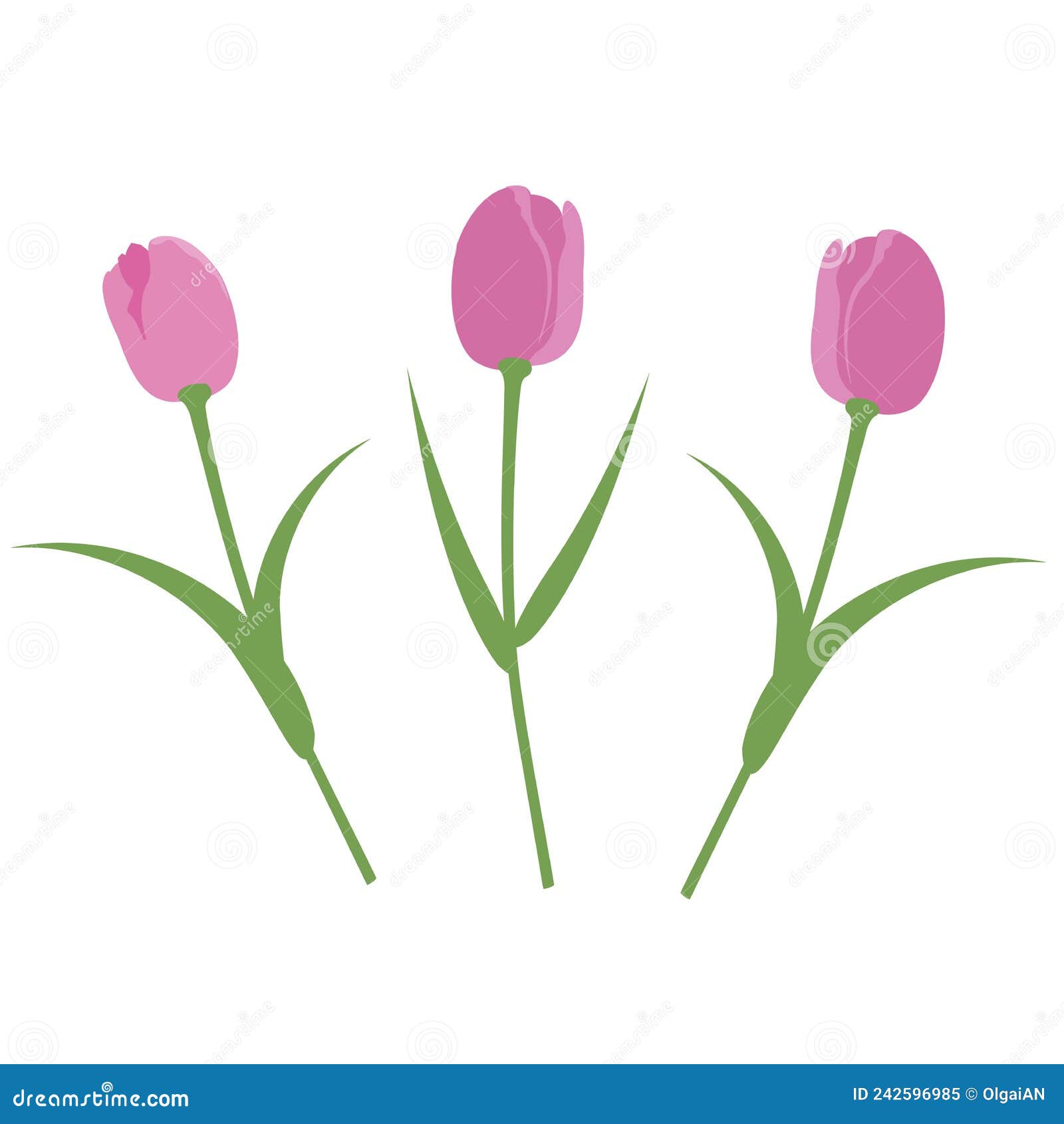 Vector Set Isolated Pink Tulips. Tulips in a Flat Style. Vector ...