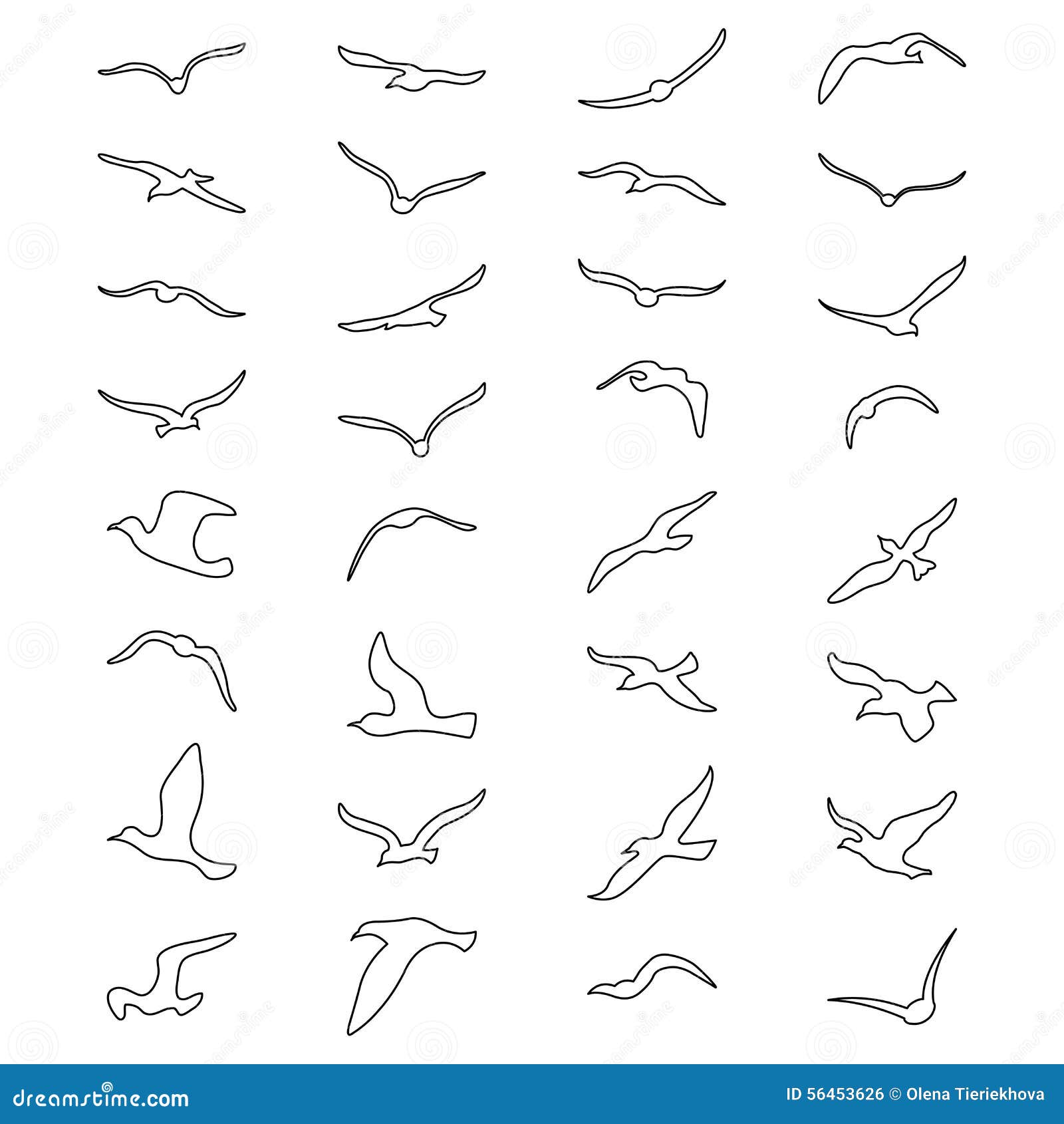 Vector Set of Linear Seagull Outlines. Stock Vector - Illustration of ...