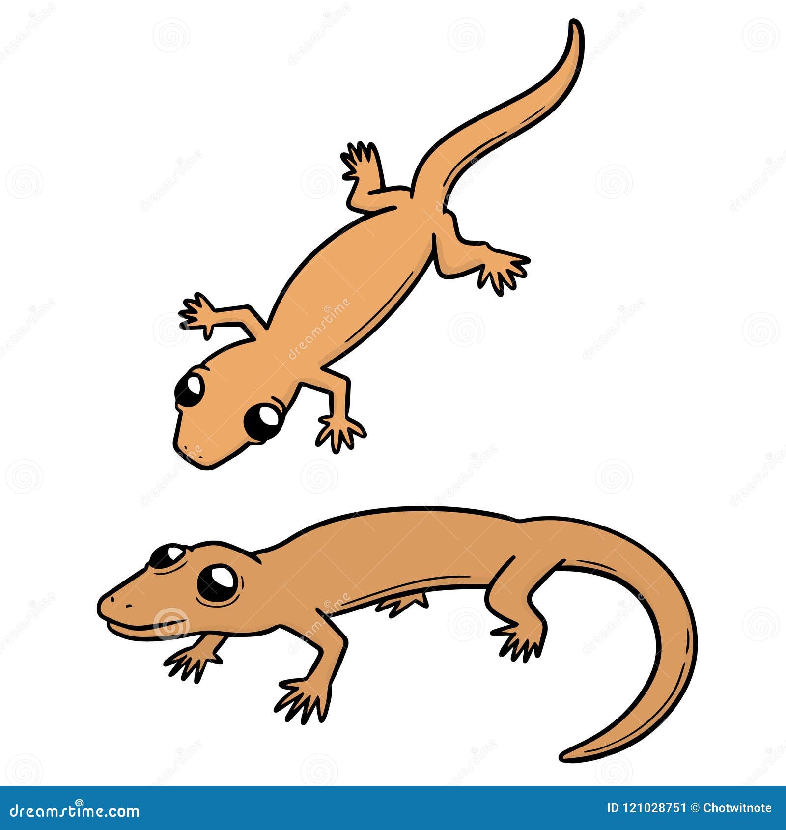 Lizards - An Hand Drawn Pack, Freehands Royalty-Free Cartoon ...