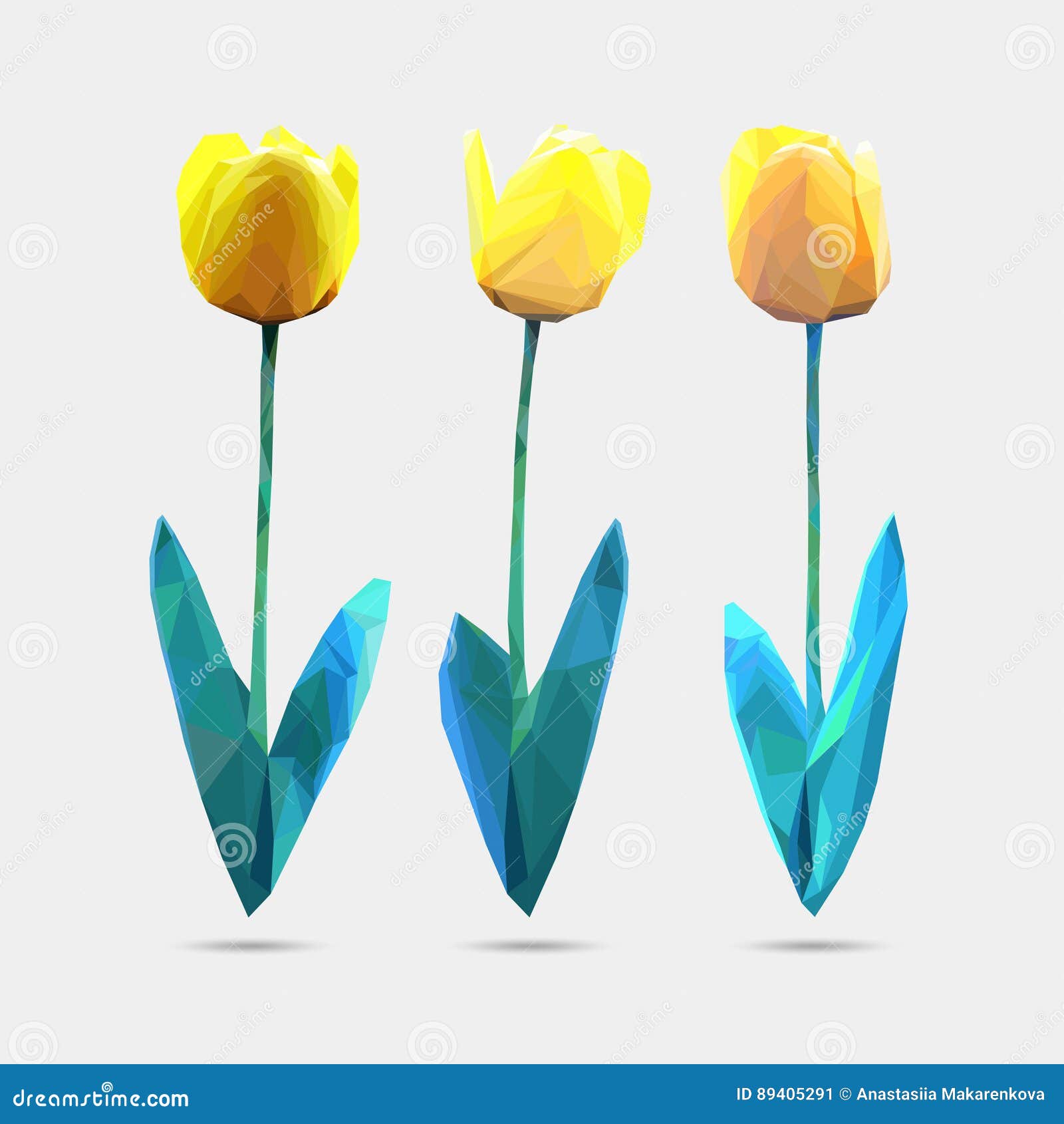 Vector Set of Low Poly Style Flowers Tulip. Polygon Flower Vector ...
