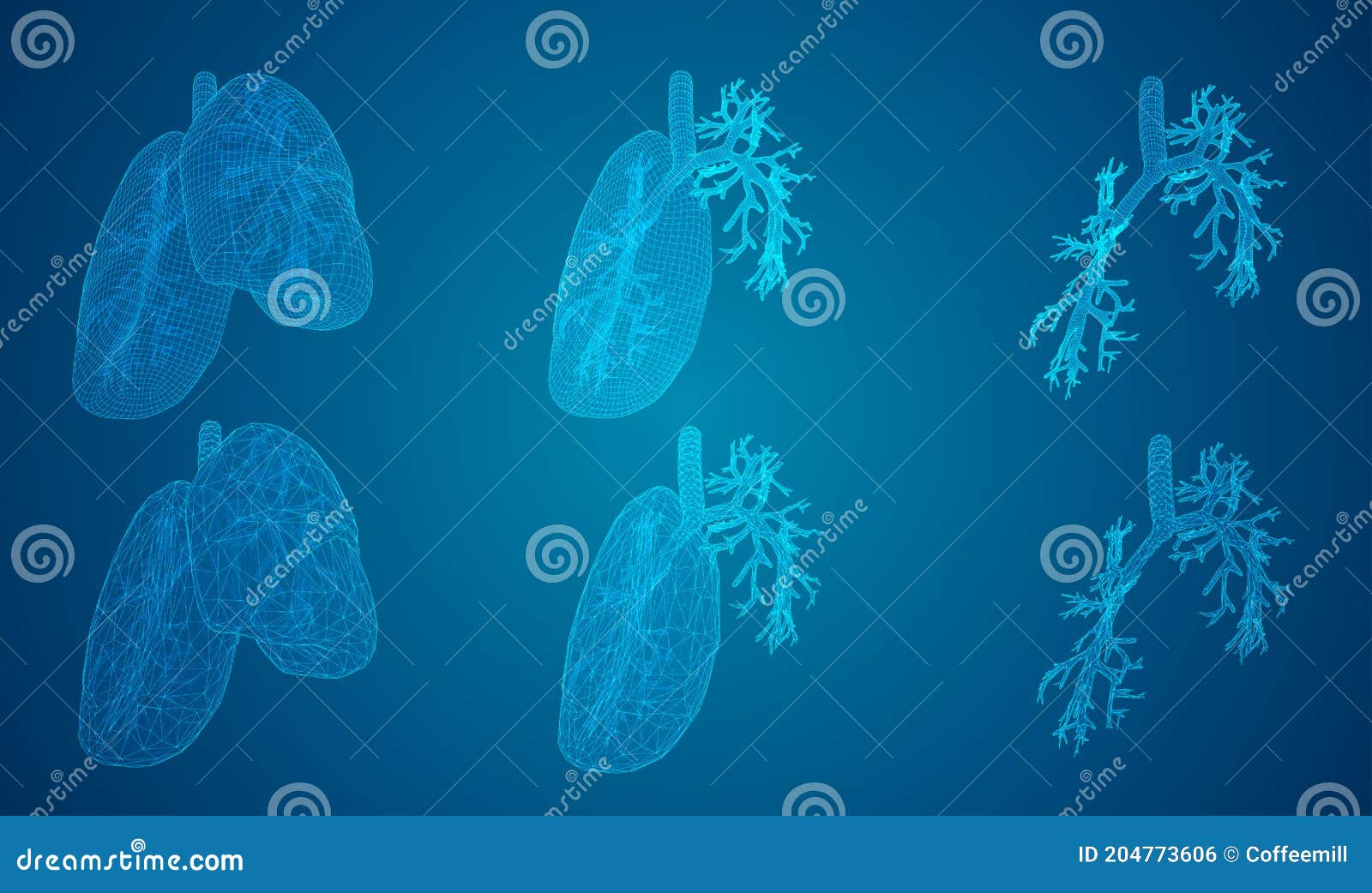 Vector Set. Lungs and Bronchi Stock Vector - Illustration of group ...