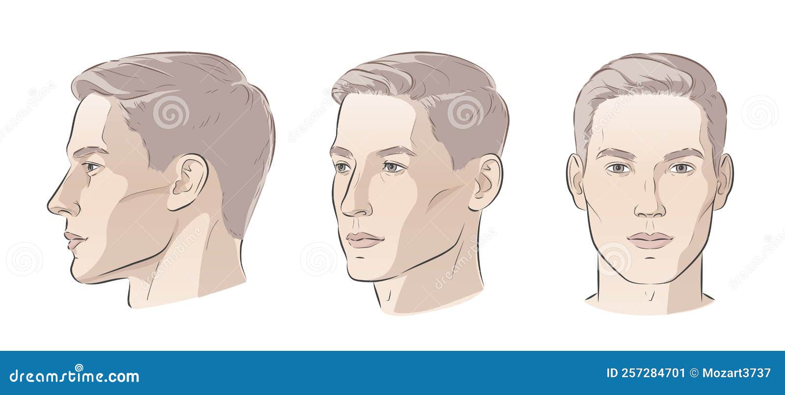 Vector Set of Man Face Portrait Three Different Angles and Turns of a ... Vector Set of Man Face Portrait Three Different Angles and Turns of a ...