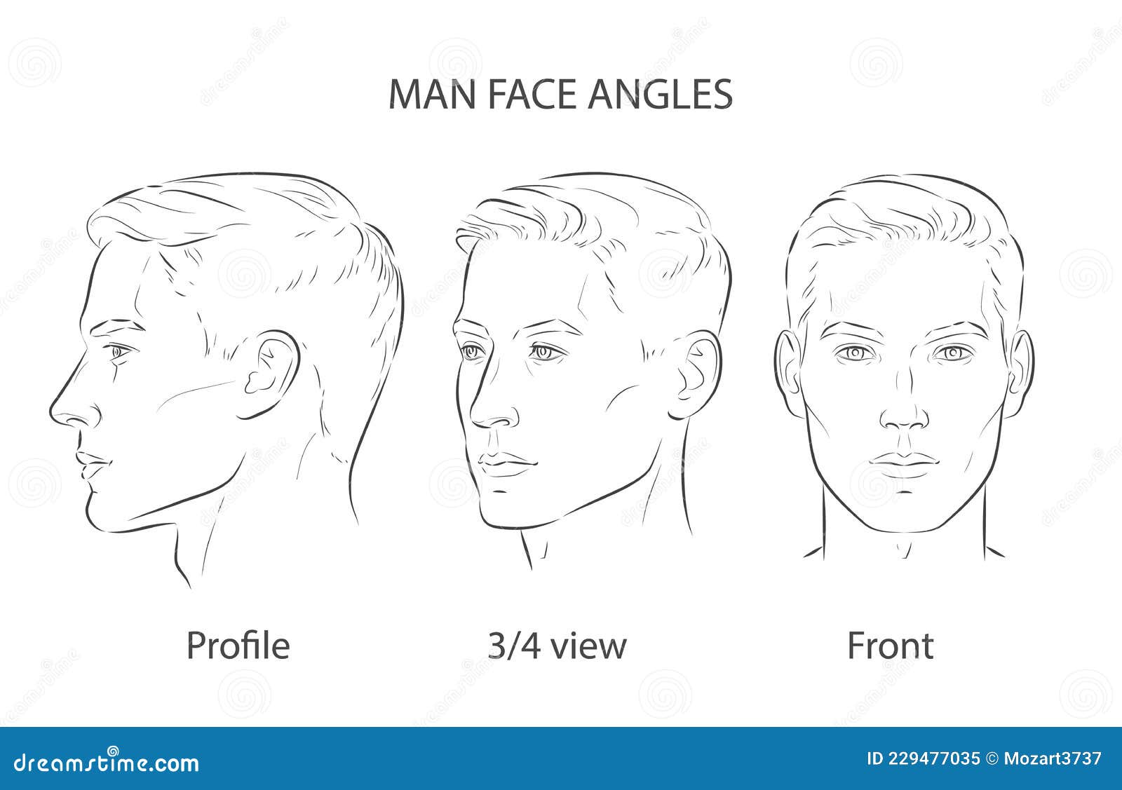Vector Set of Man Face Portrait Three Different Angles and Turns of a ... Vector Set of Man Face Portrait Three Different Angles and Turns of a ...