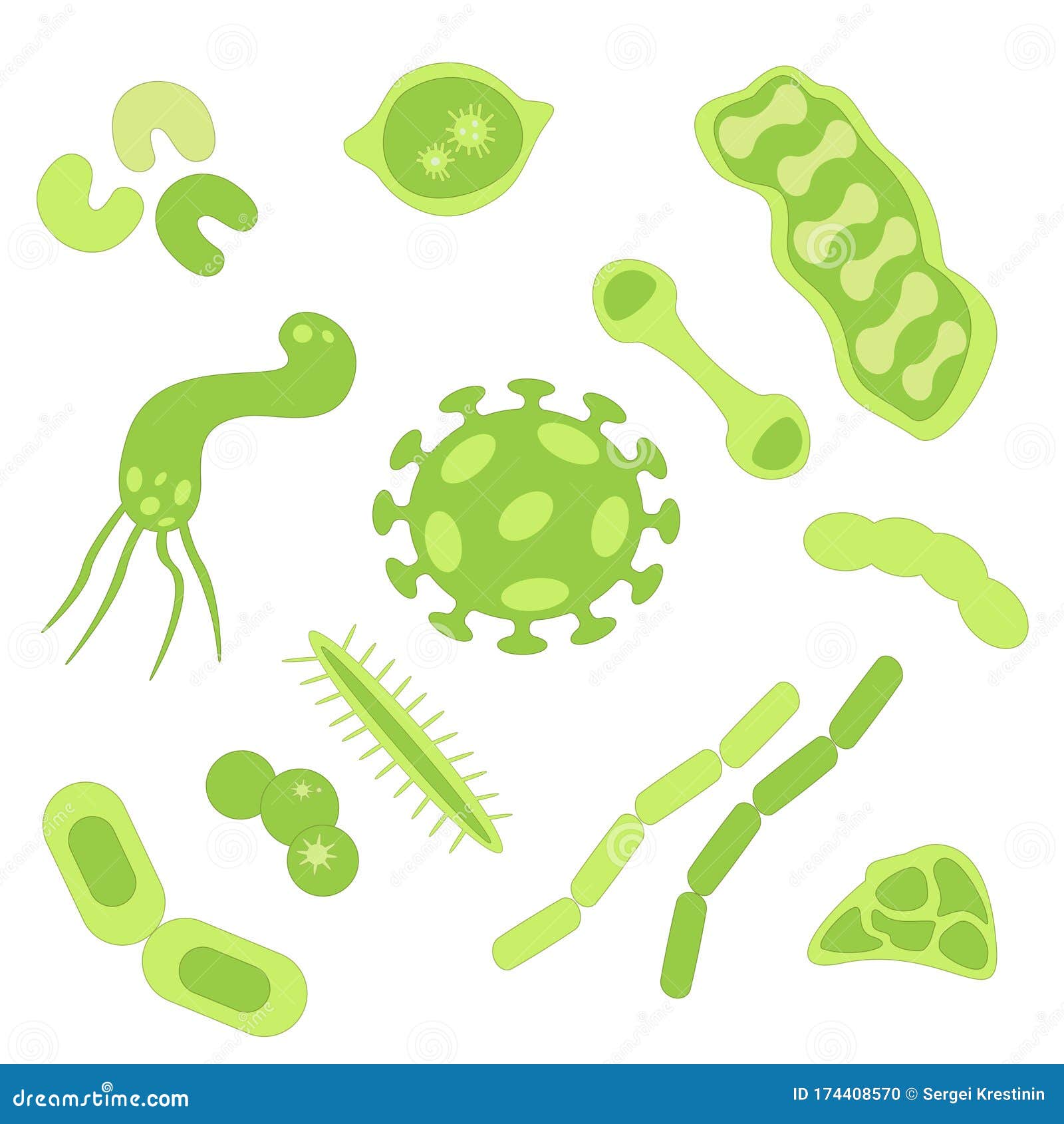 Vector Set of Microorganisms. Stock Vector - Illustration of elements ...