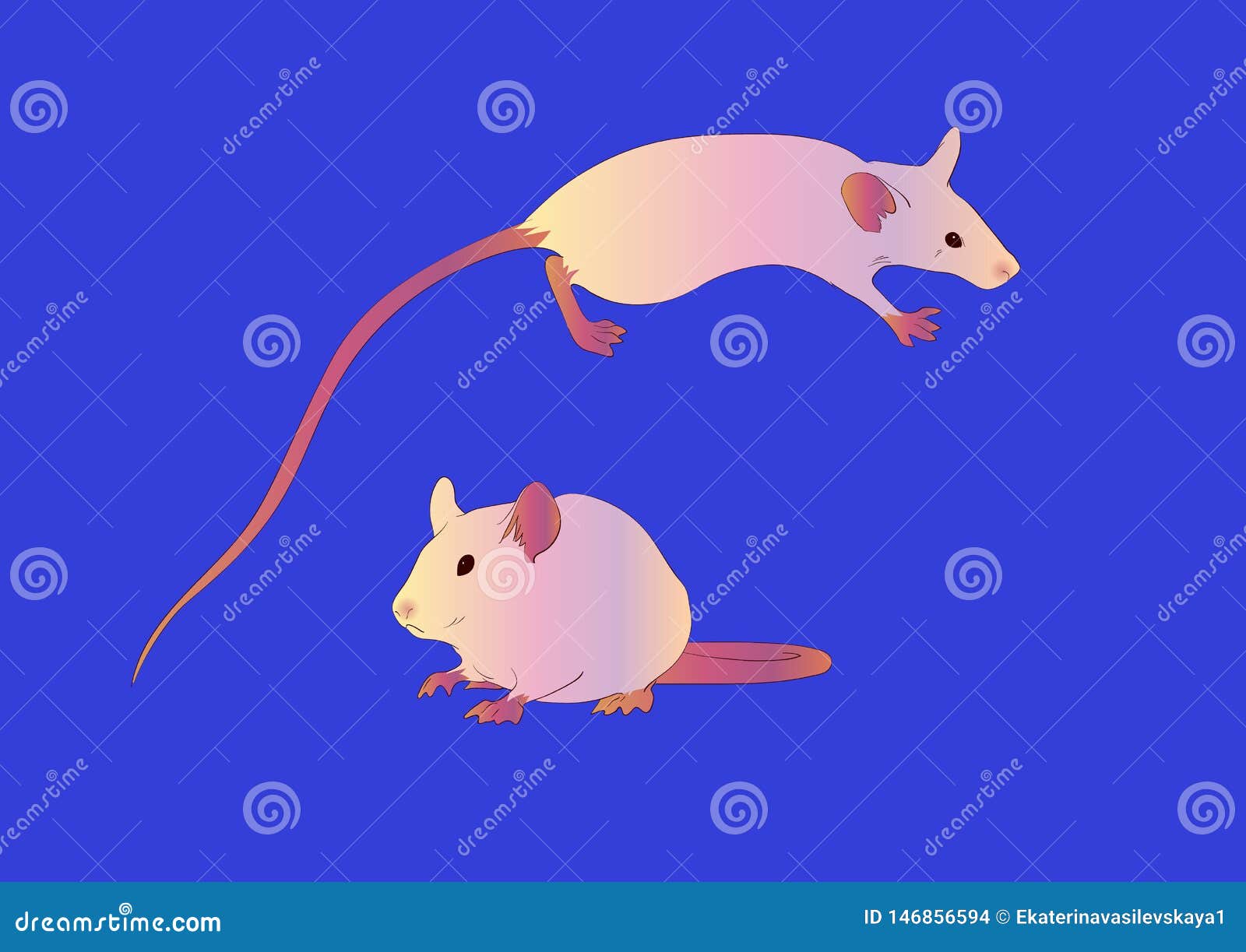Different Rodent Animals Painted Set. Hand Drawn Various Rodents ...
