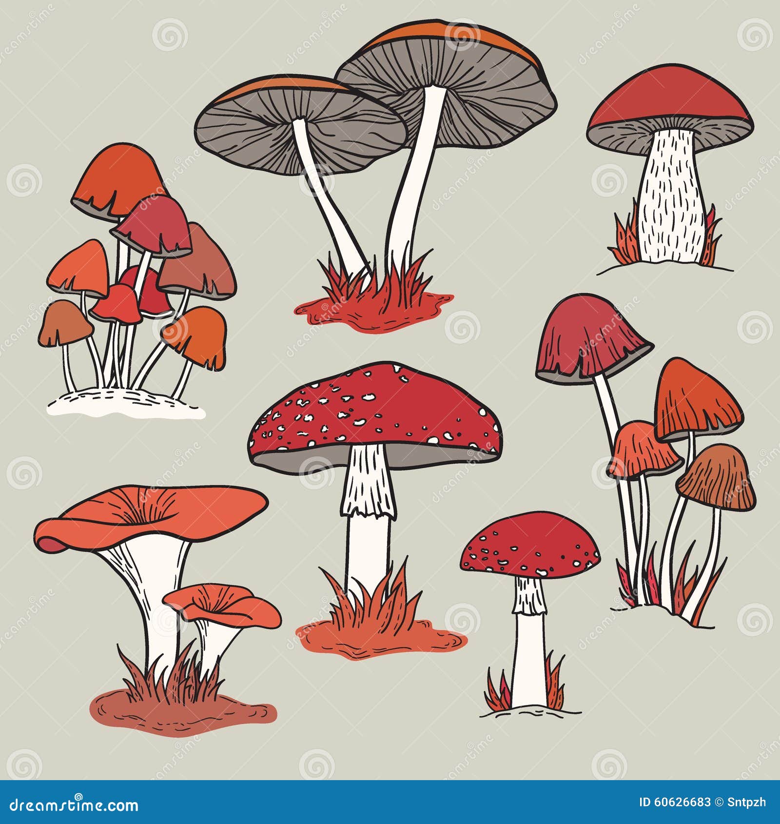 Vector set with mushrooms stock vector. Illustration of color - 60626683