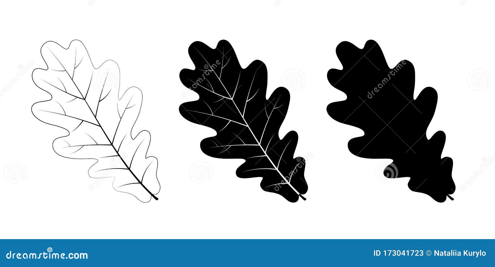 Vector Set of Oak Leaves, Outline and Silhouette Stock Vector ...