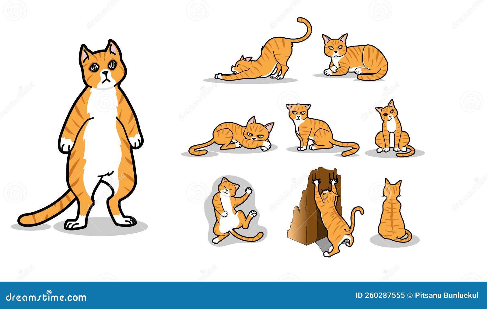 Vector set of orange cat stock vector. Illustration of ginger - 260287555