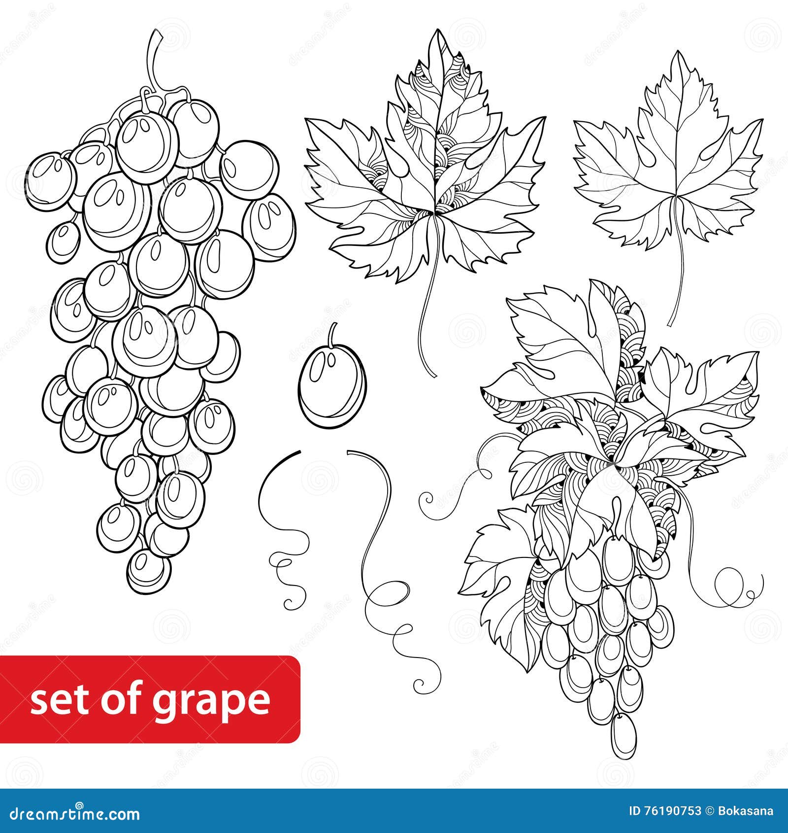 Grape Vine Coloring Pages