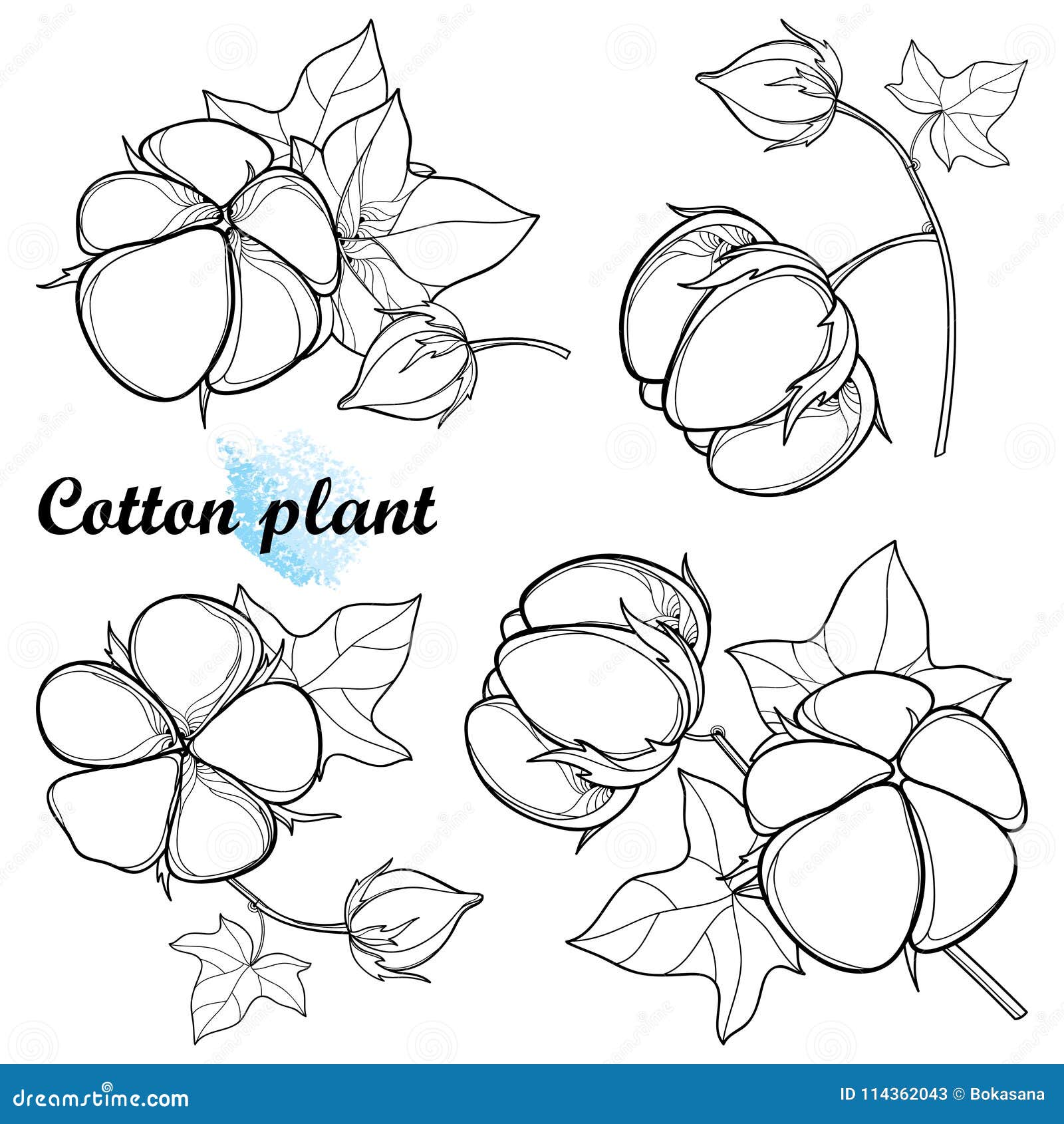 Outline Cotton Vector Icon. Isolated Black Simple Line Element ...