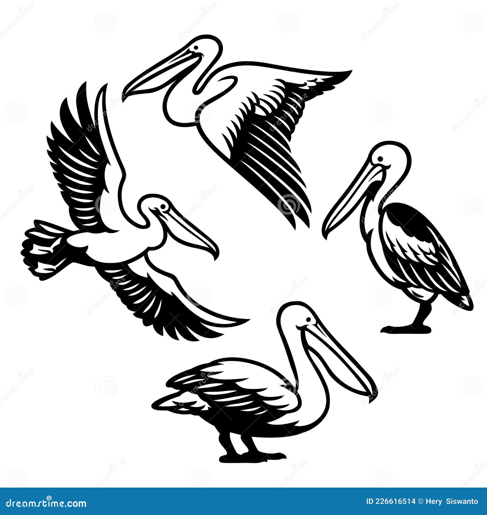 Set of pelican bird stock vector. Illustration of bird - 226616514