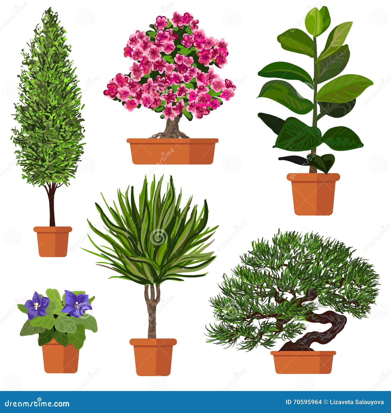 Vector set of plant in pot stock vector. Illustration of home - 70595964