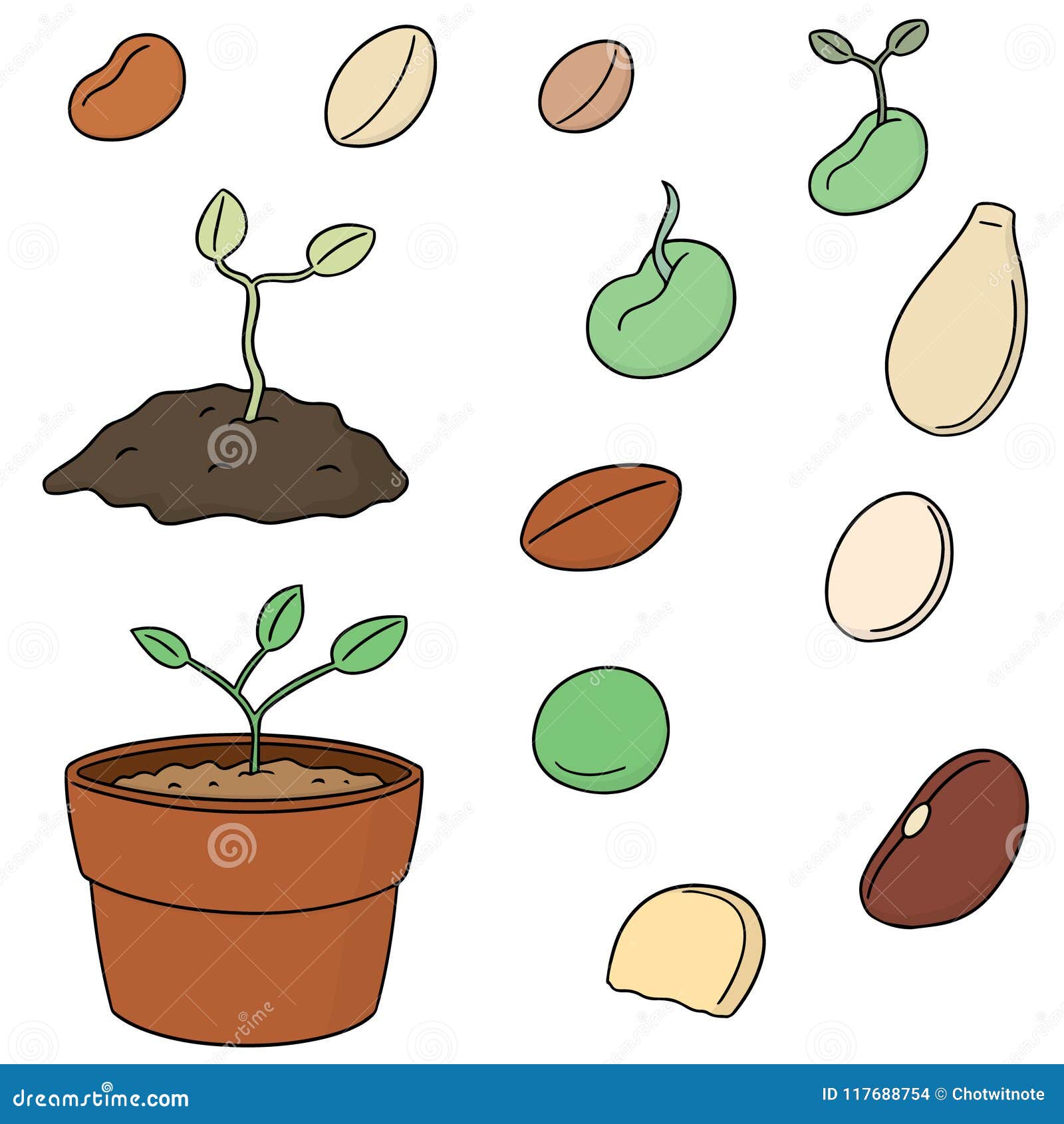 Vector set of plant seed stock vector. Illustration of clipart - 117688754