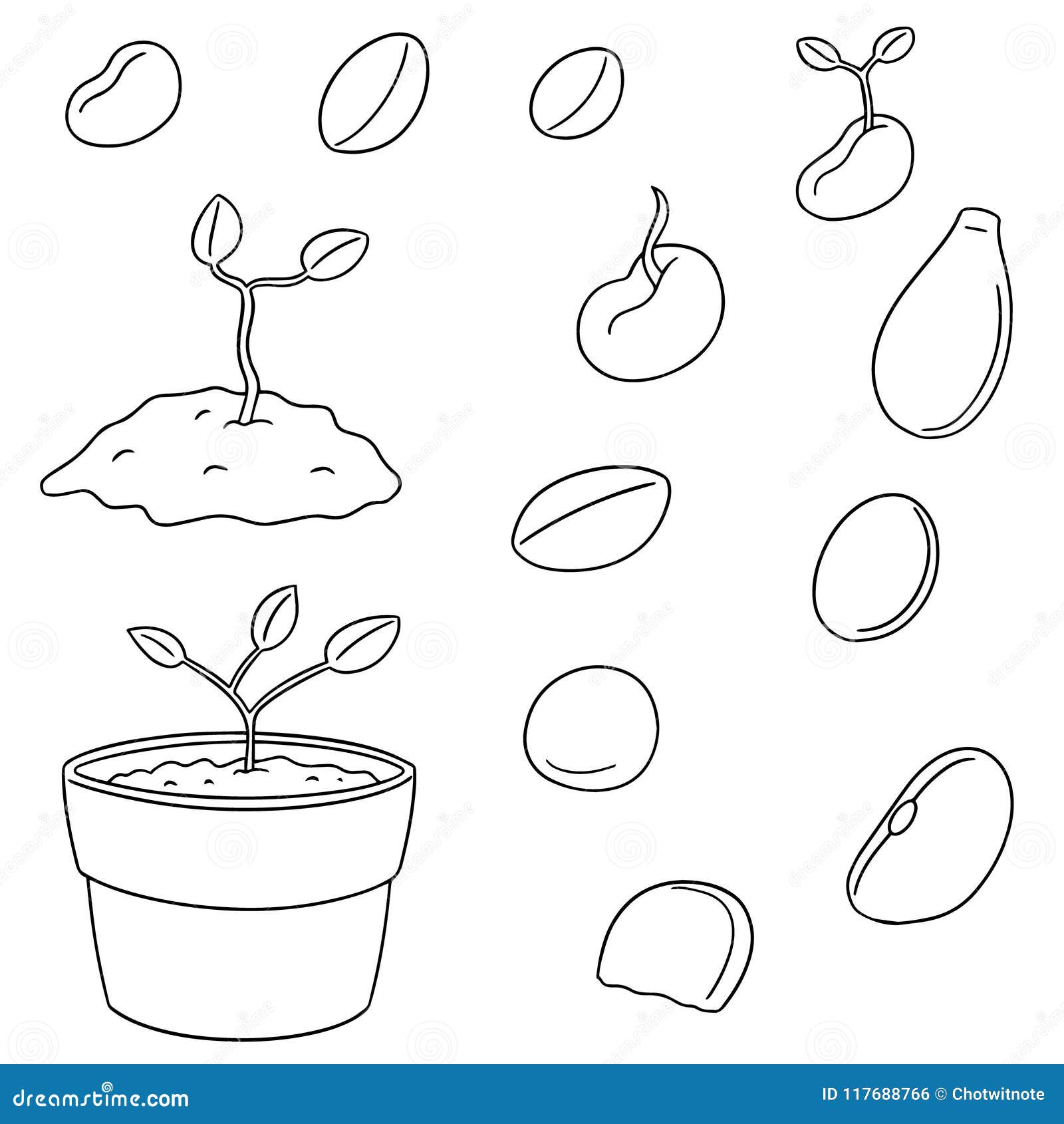 Vector set of plant seed stock vector. Illustration of hand - 117688766