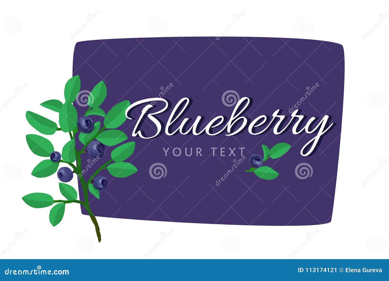 Vector Set of Product Labels. Blueberry Template for Food Packaging ...