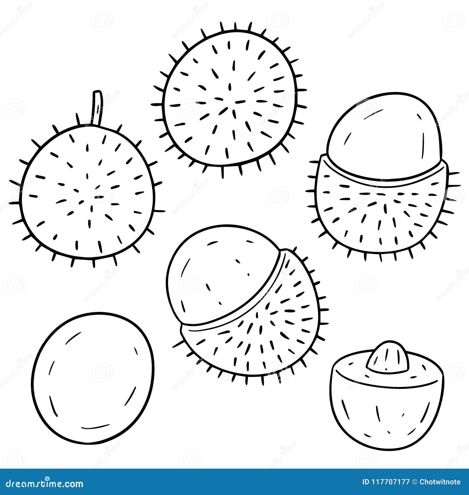 Vector set of rambutan stock vector. Illustration of design - 117707177