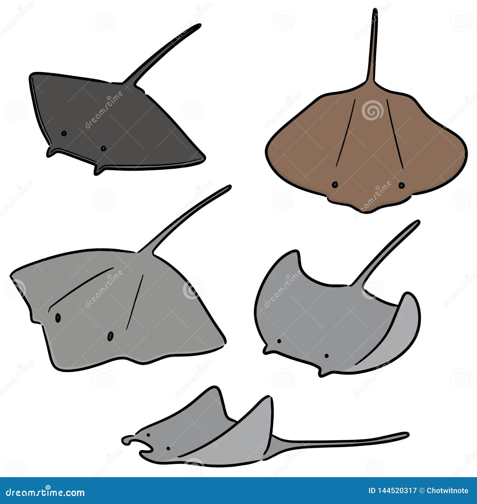 Vector set of ray fish stock vector. Illustration of simple - 144520317