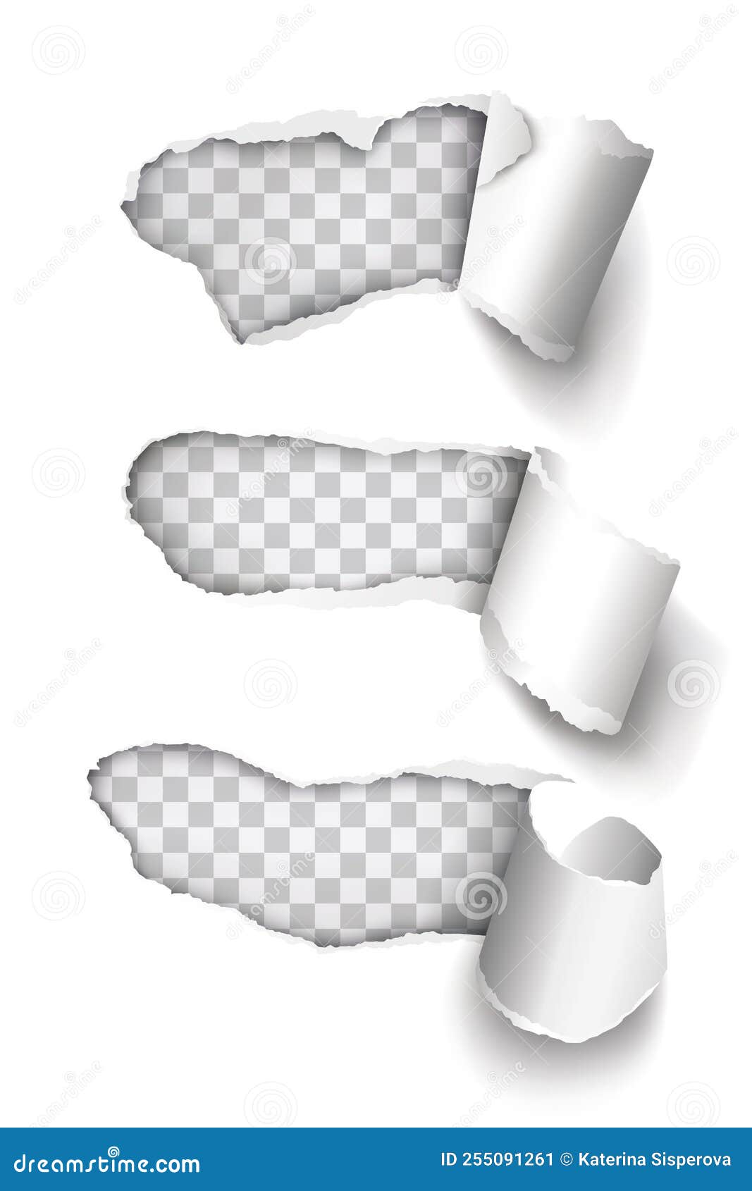 Vector Set Of Realistic Torn Paper Holes With Rolled Edge On ...