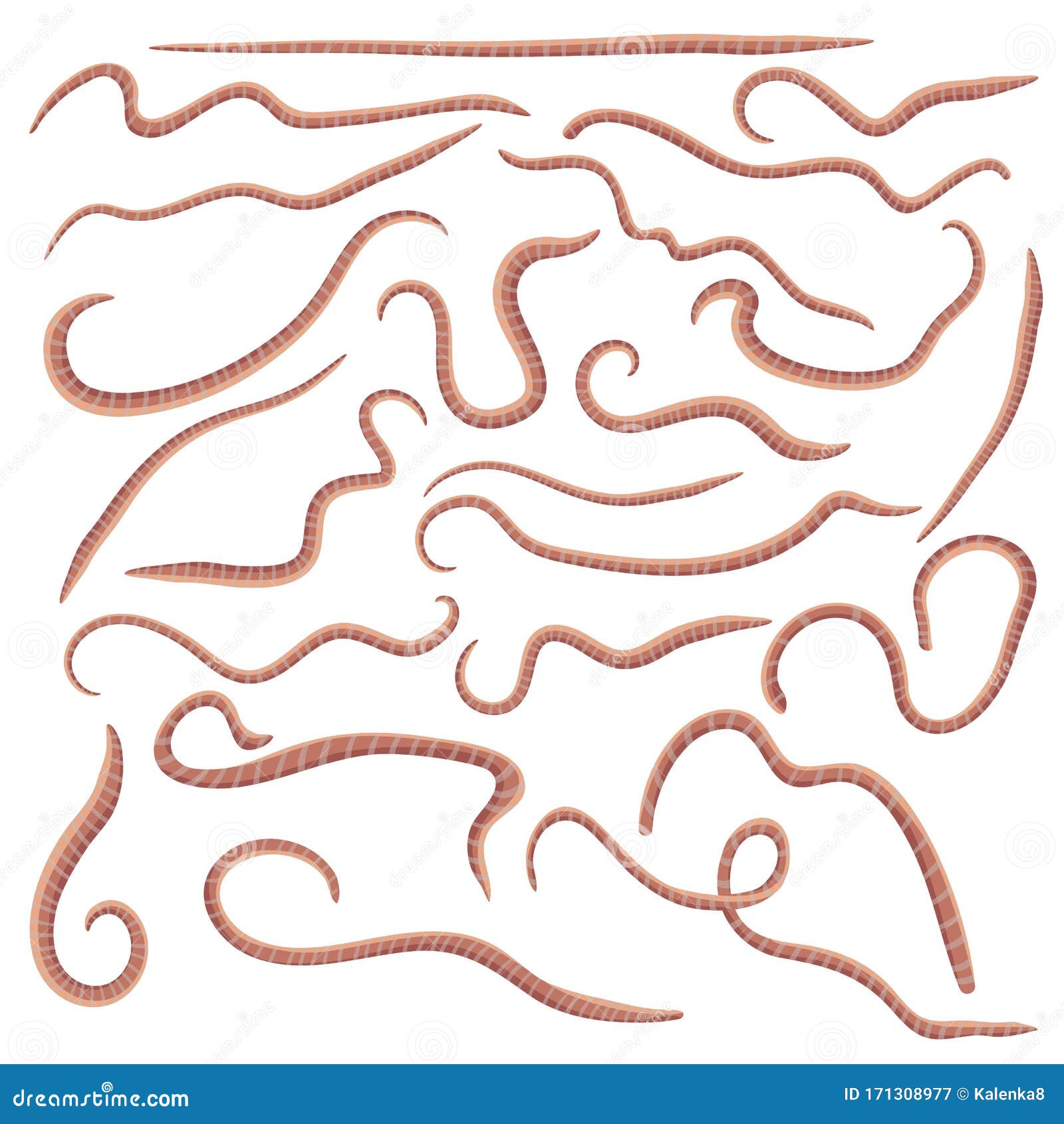 Vector Set of Red Earthworms Isolated on White Background. Segmented ...