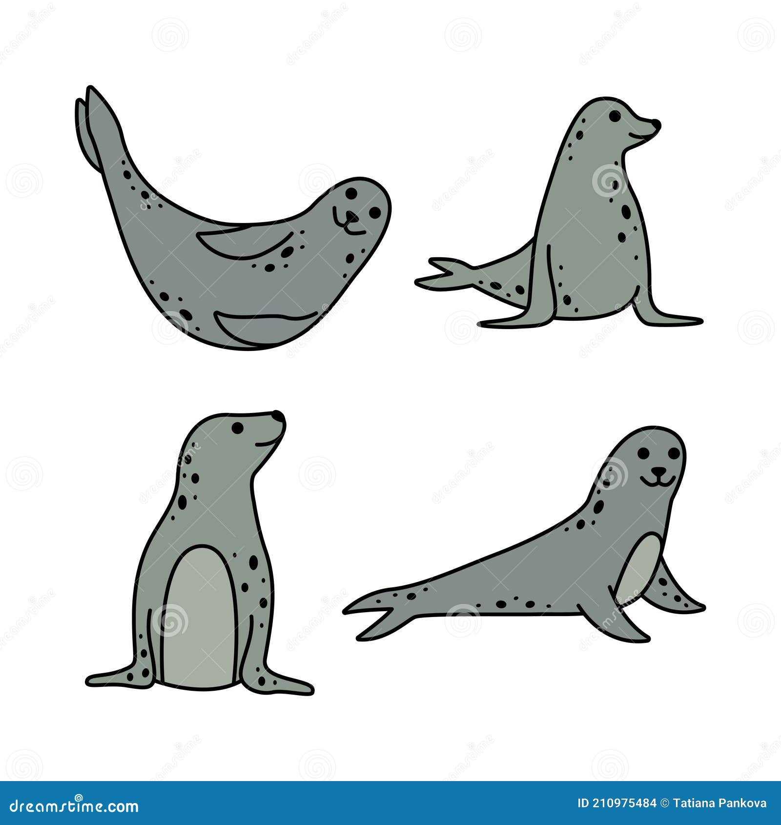 Vector Set of Sea Seals. Marine Animals Stock Vector - Illustration of ...