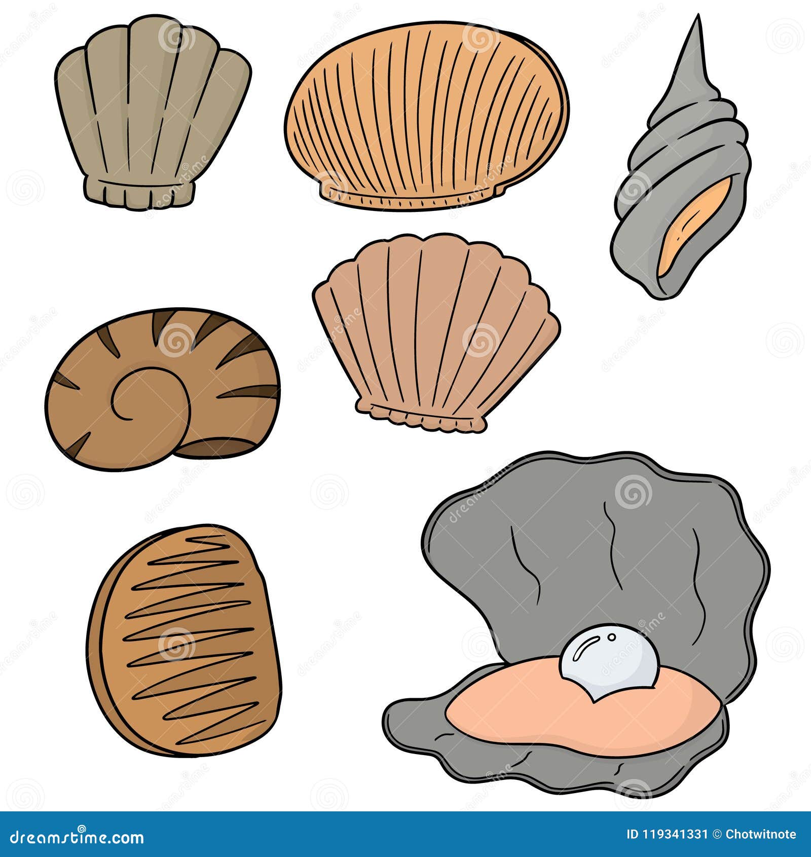 Vector set of sea shell stock vector. Illustration of aquarium - 119341331